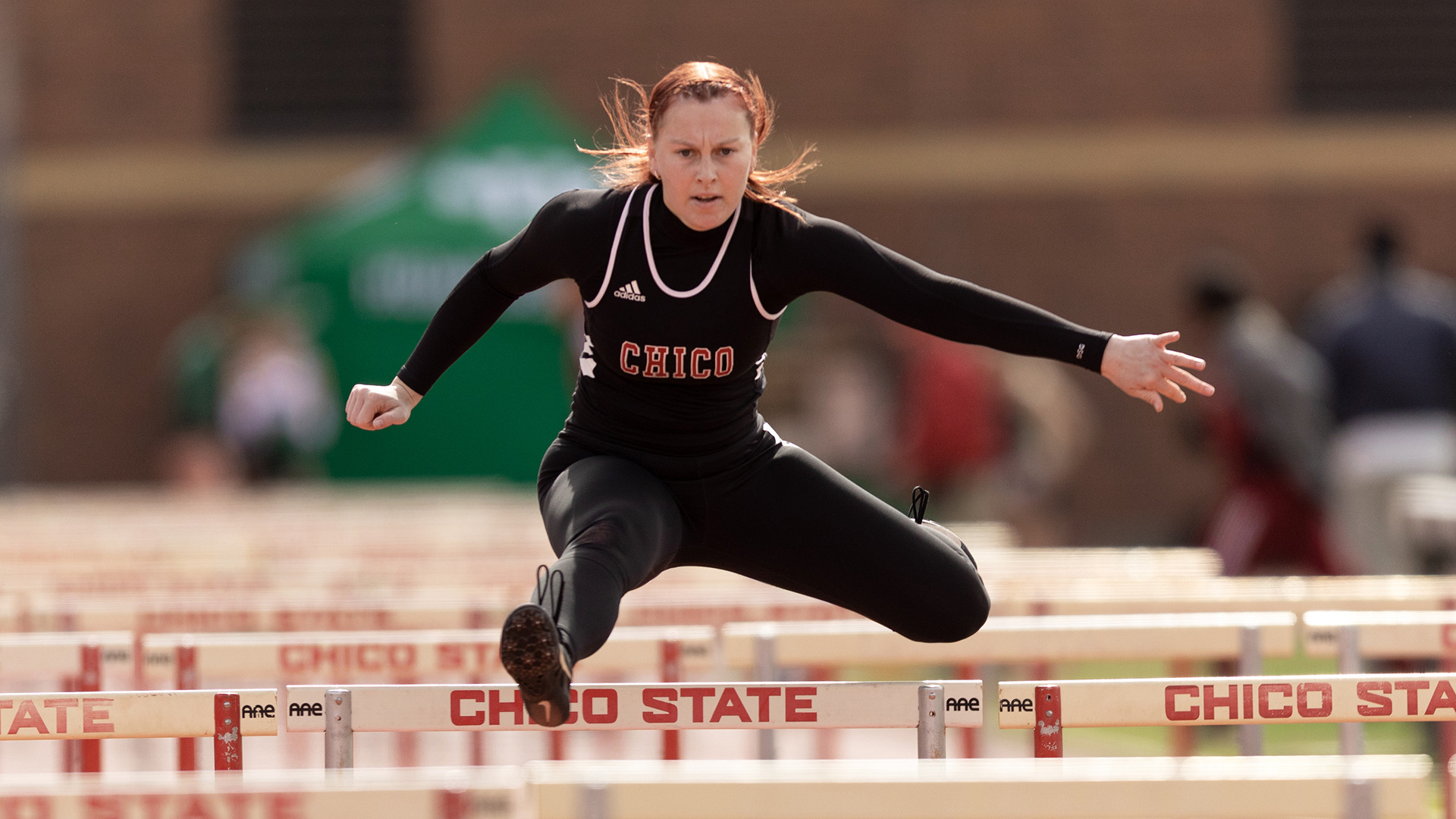 Talyn Steffens - 2024 - Women's Track & Field - Chico State Athletics