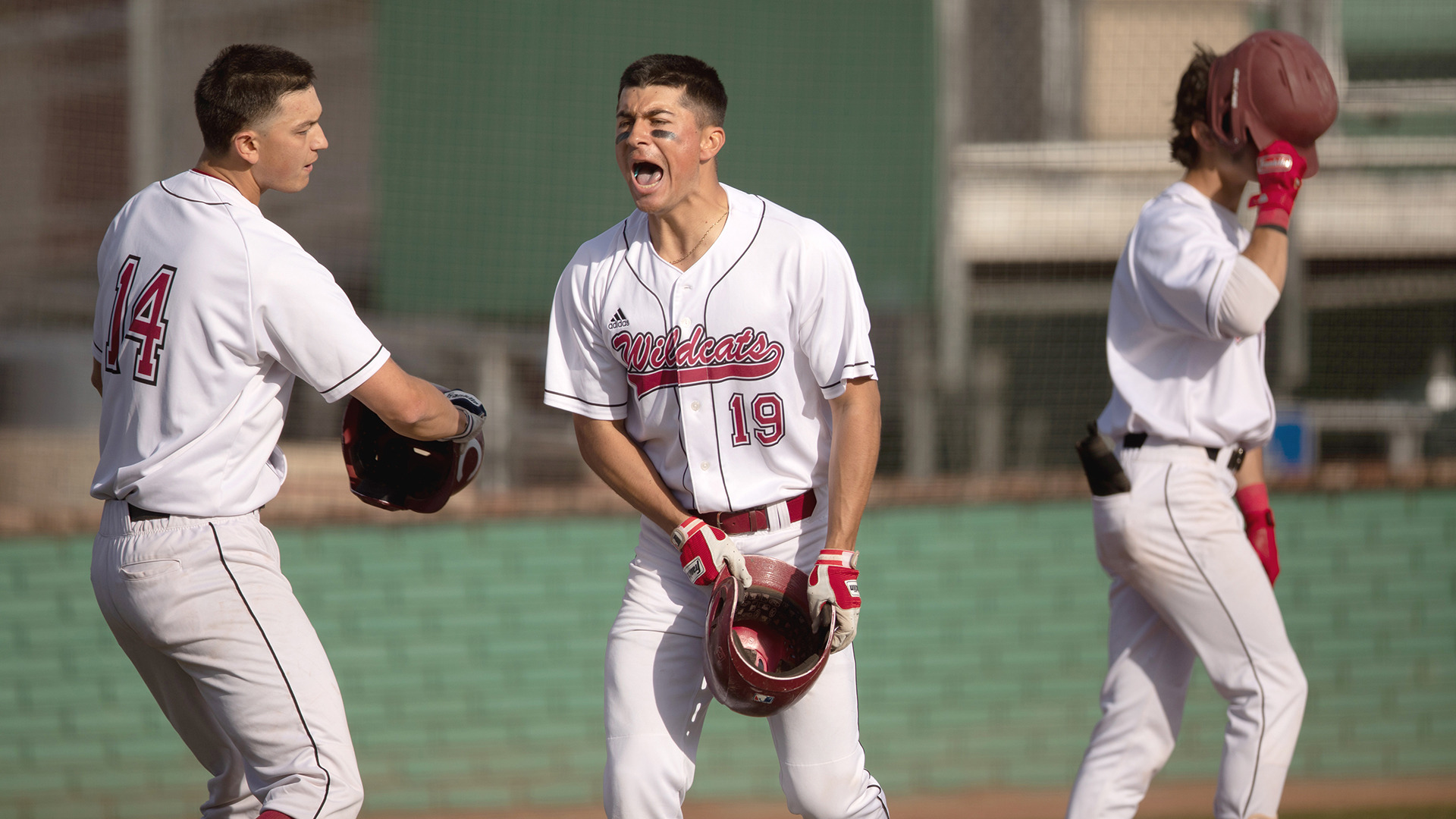 Andrew Crane - 2024 - Baseball - Chico State Athletics