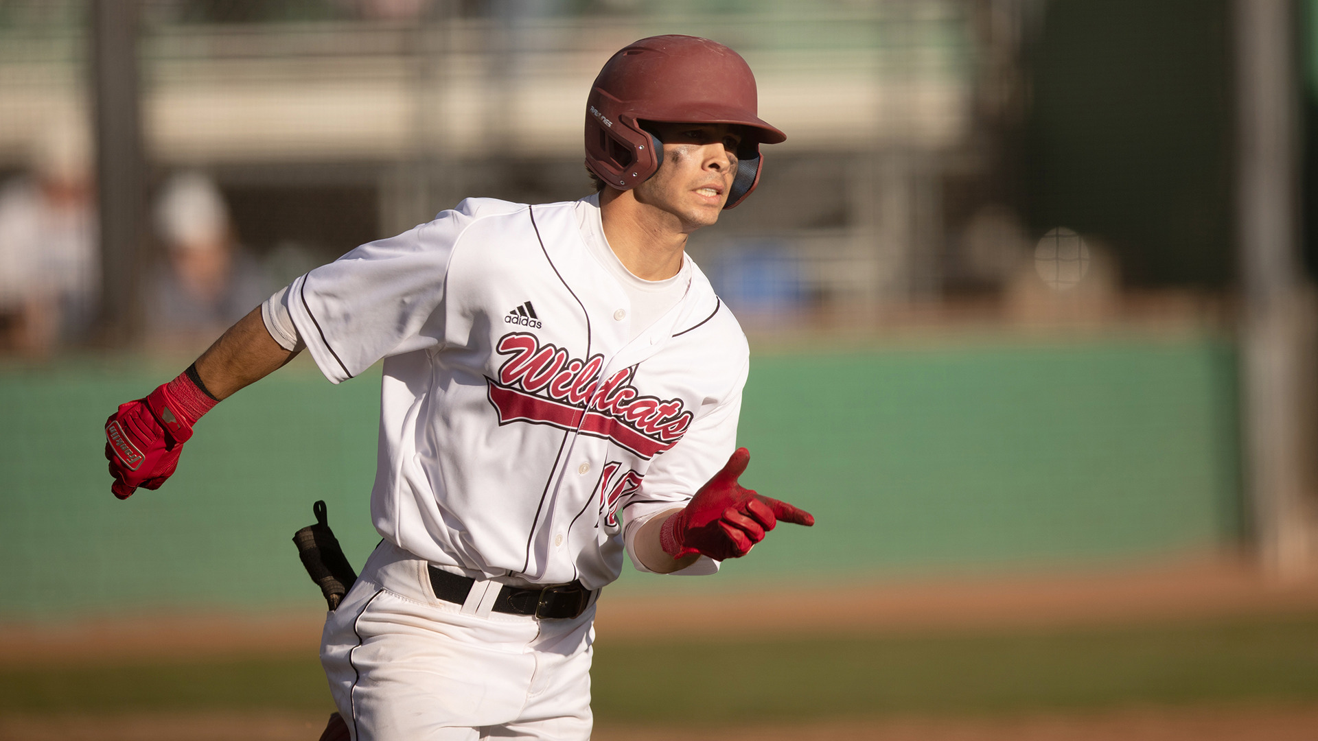 Kaden Bass - 2024 - Baseball - Chico State Athletics