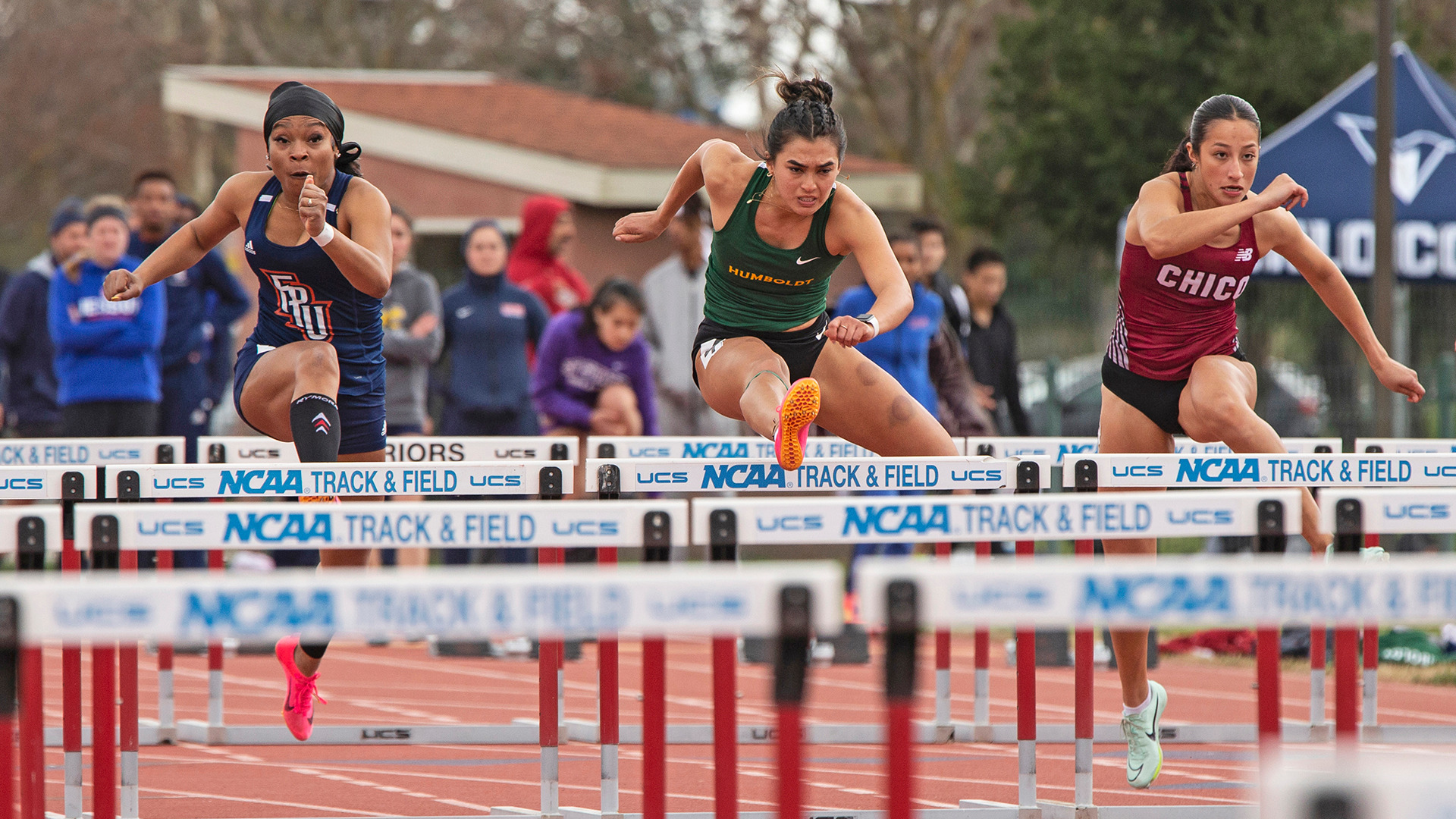 Alexis Hinojosa - 2024 - Women's Track - Chico State Athletics