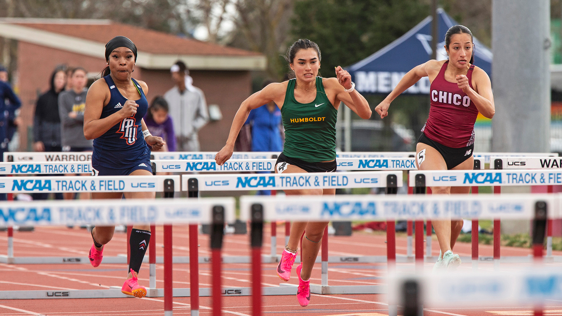 Alexis Hinojosa - 2024 - Women's Track - Chico State Athletics