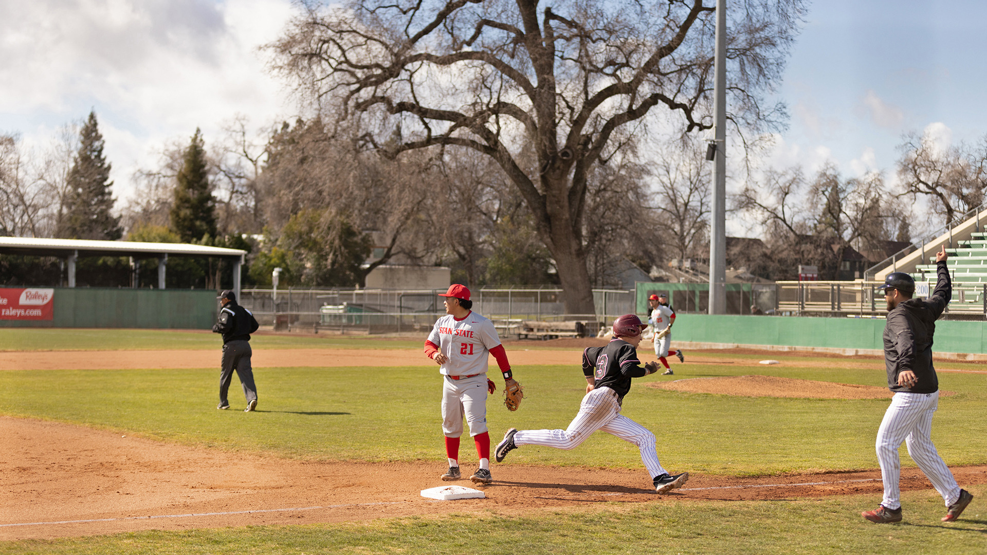 Elijah Jackson - 2023 - Baseball - Chico State Athletics