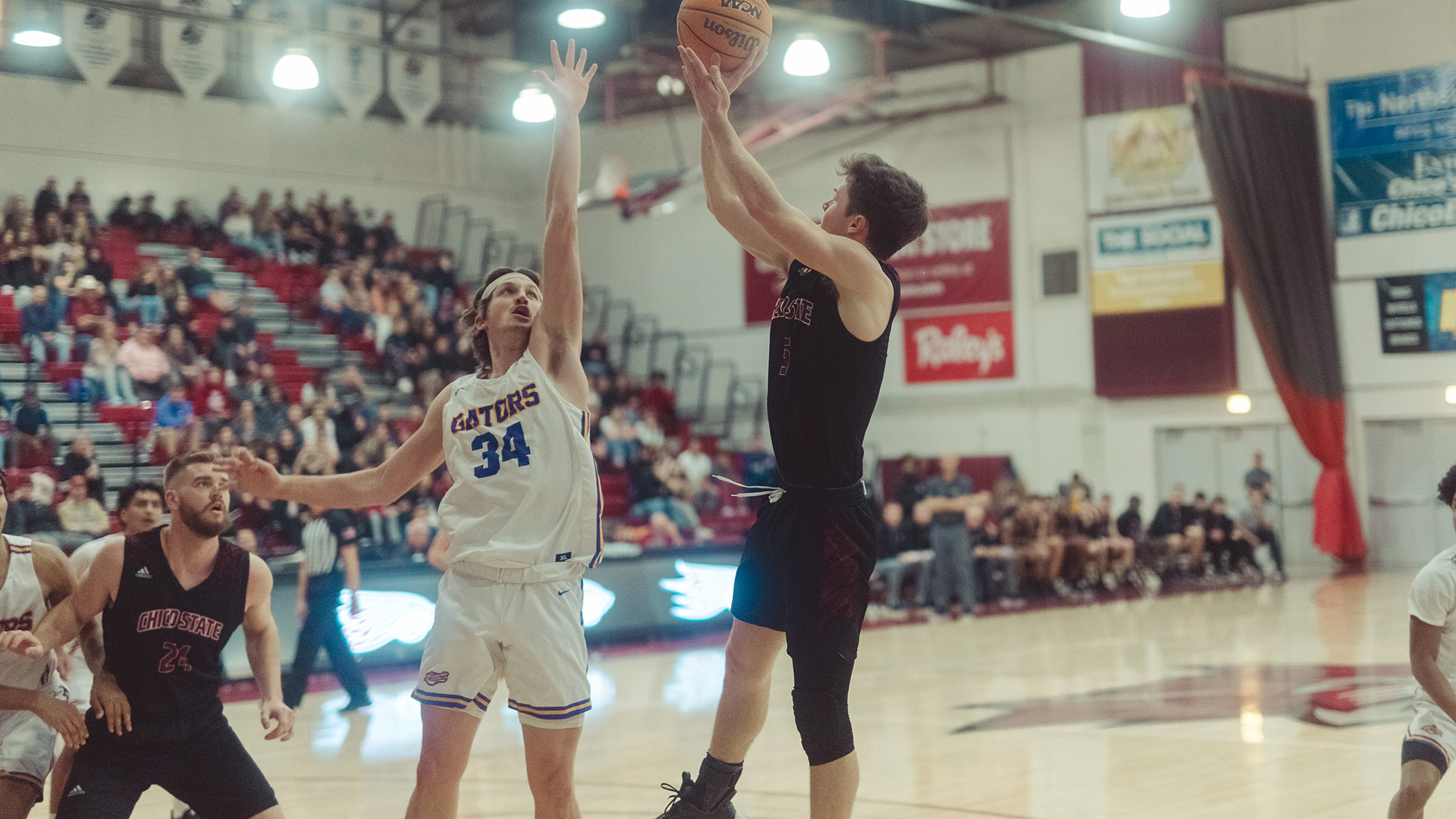 Jojo Murphy - 2024-25 - Men's Basketball - Chico State Athletics