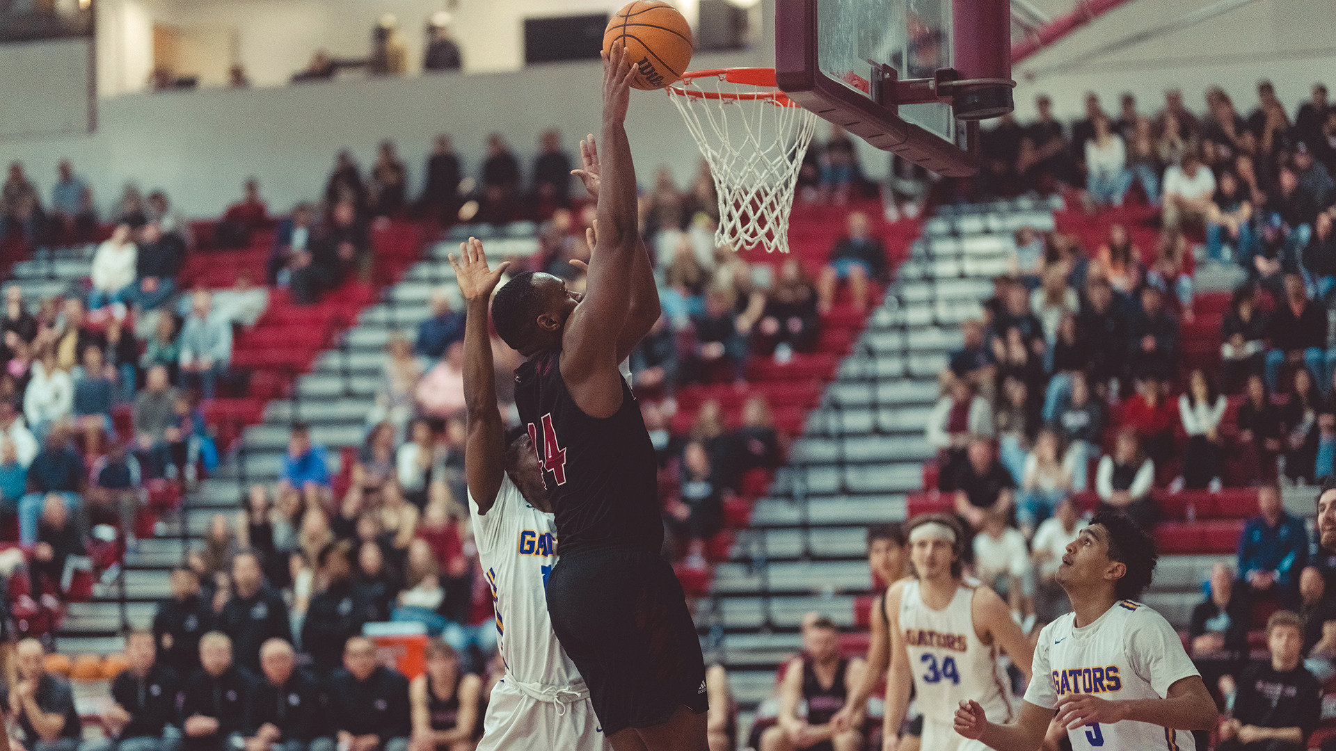 Kelvin Wright Jr. - 2023-24 - Men's Basketball - Chico State Athletics