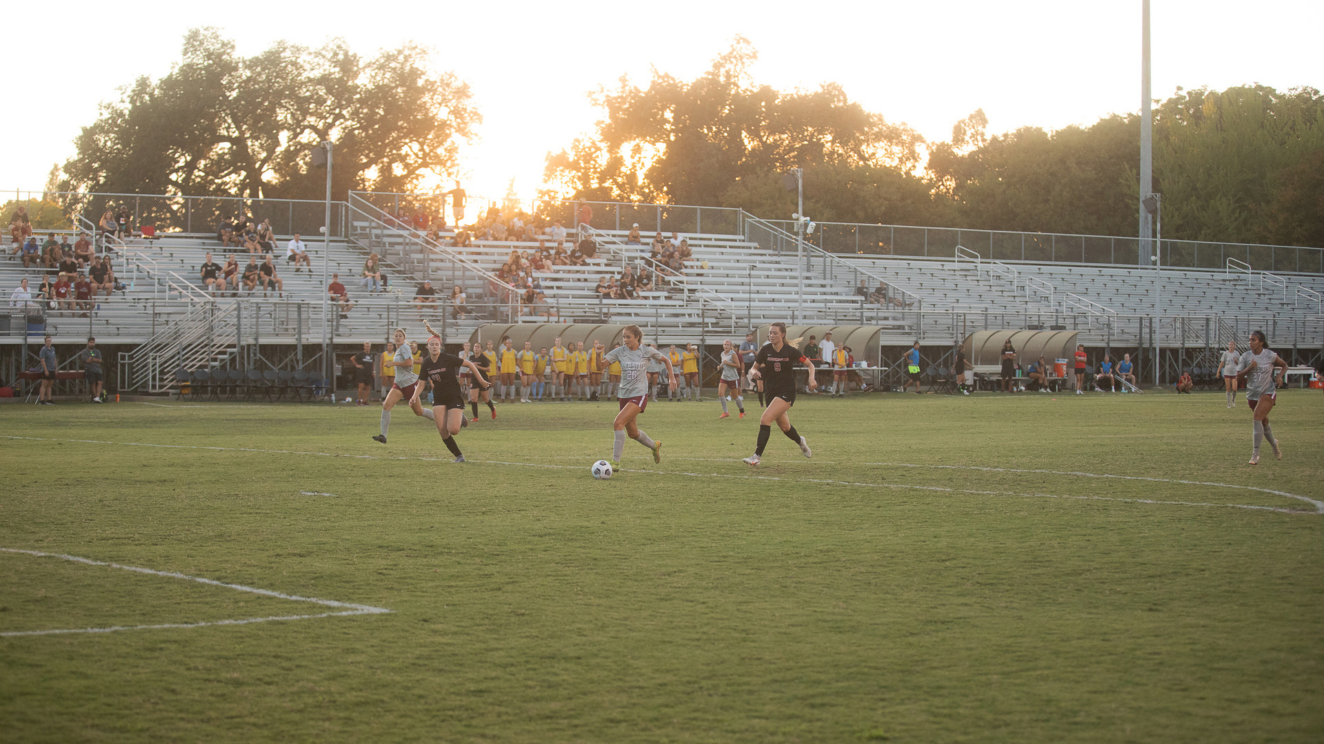 Mikayla Robertson - 2023 - Women's Soccer - Chico State Athletics