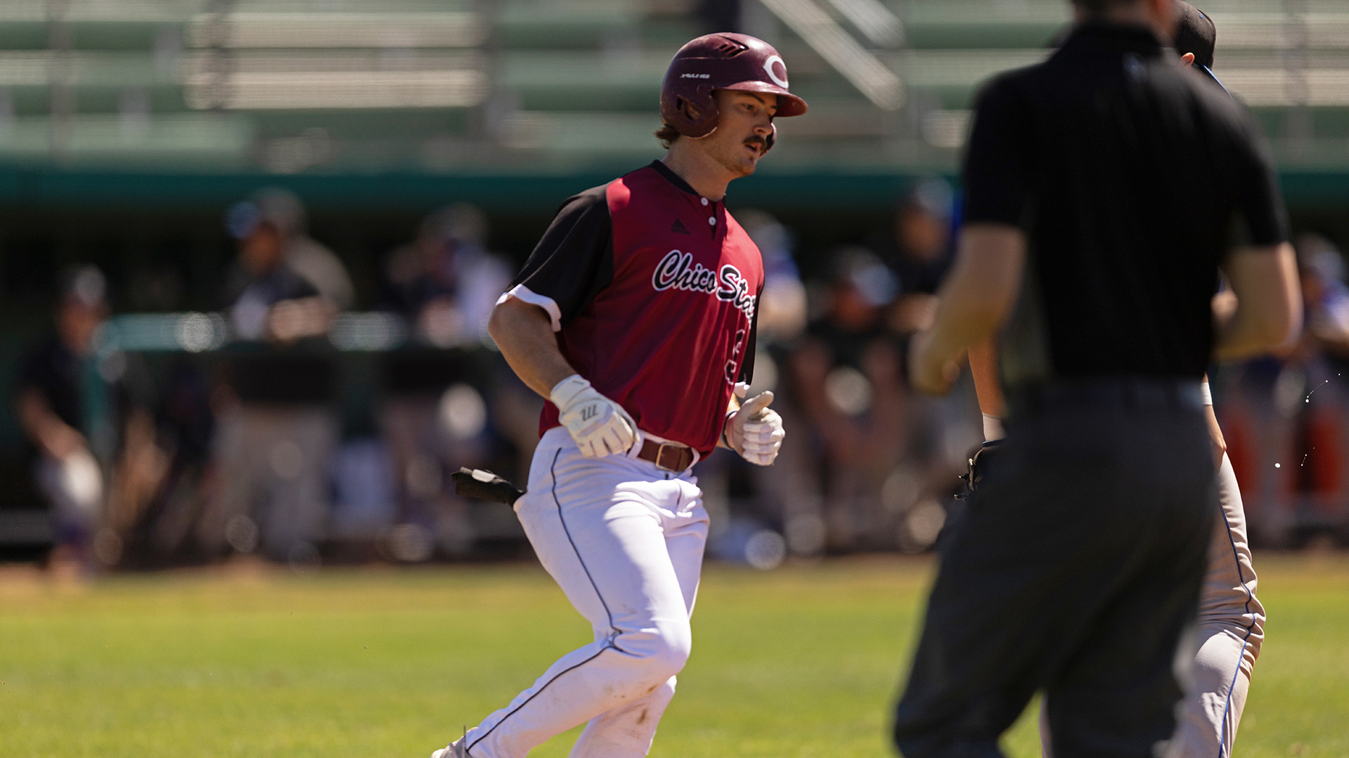 Cameron Mahaffy - 2023 - Baseball - Chico State Athletics