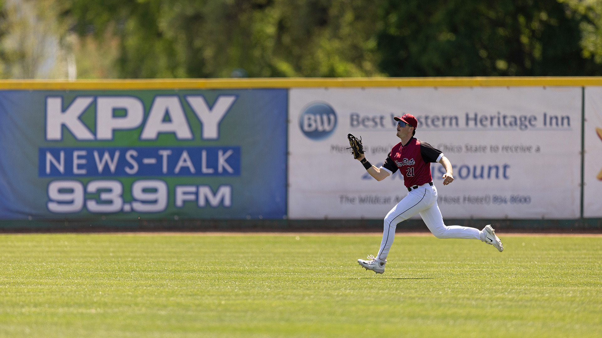 Xabi Iparraguirre - 2023 - Baseball - Chico State Athletics