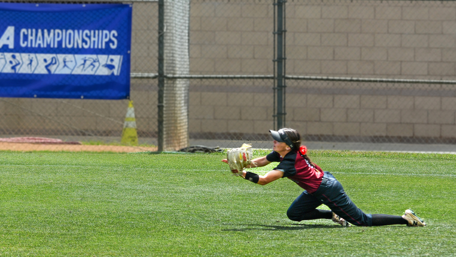 Ashley Rocha - 2024 - Softball - Chico State Athletics