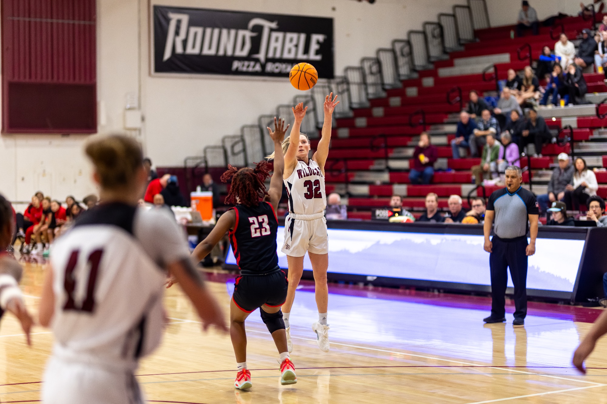 Jordan Allred - 2024-25 - Women's Basketball - Chico State Athletics