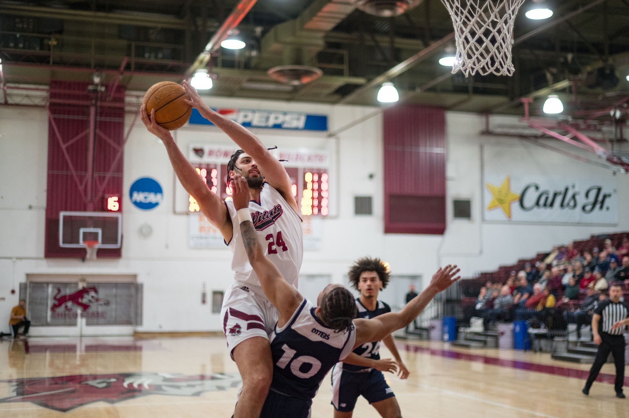 Adam Afifi - 2023-24 - Men's Basketball - Chico State Athletics