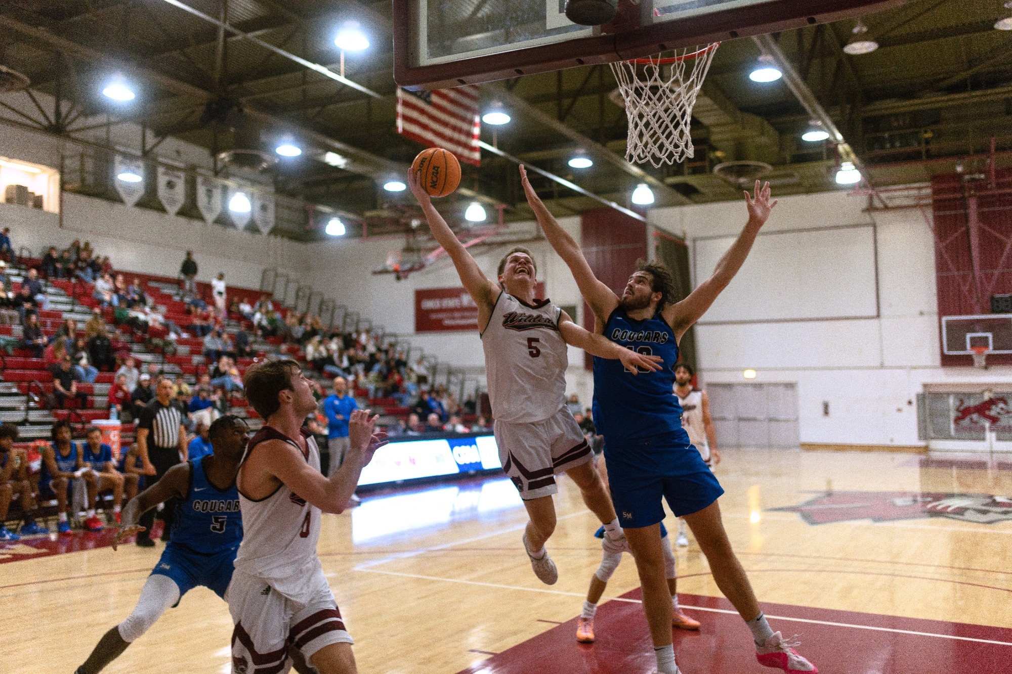 Jojo Murphy - 2024-25 - Men's Basketball - Chico State Athletics