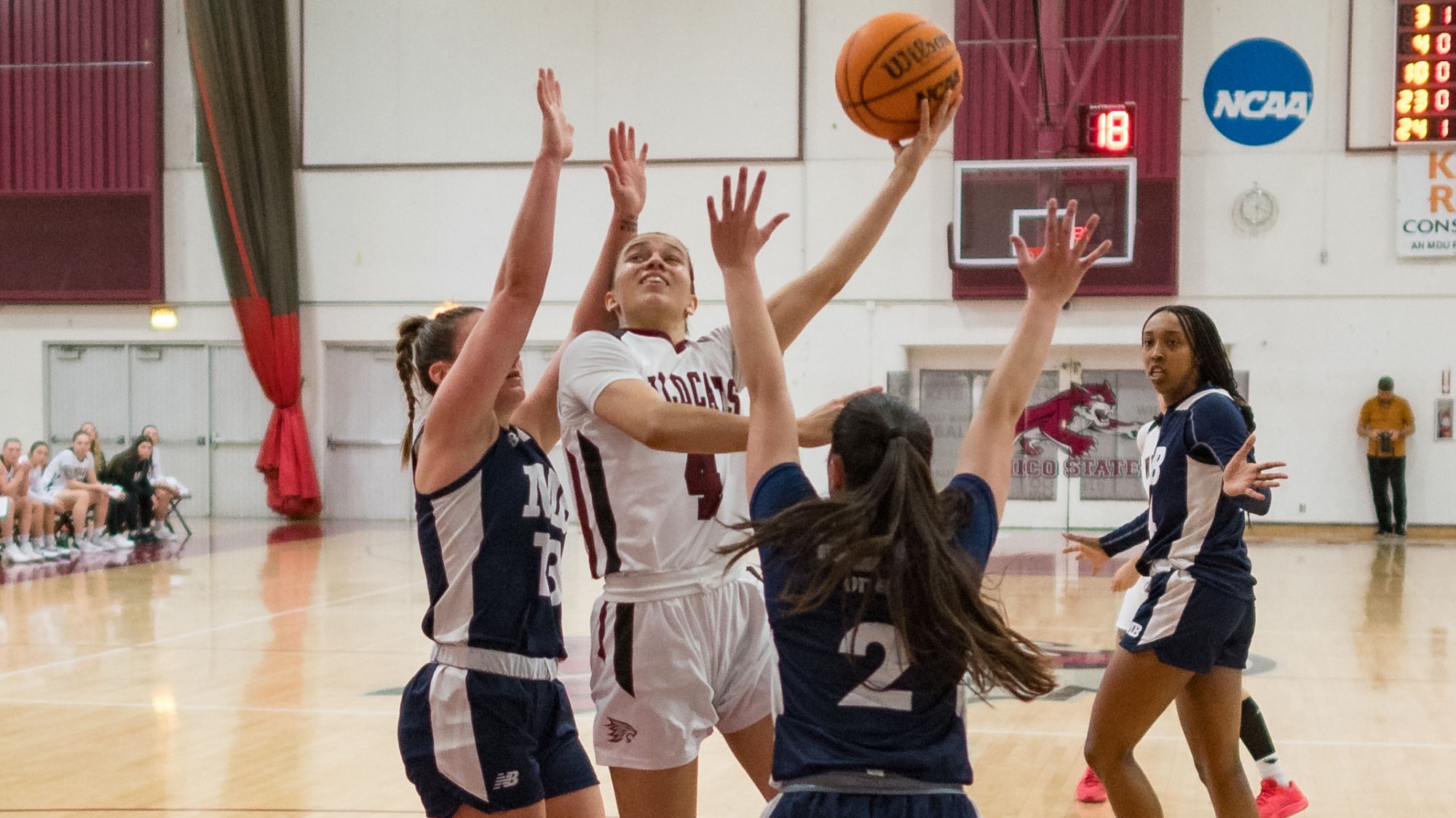 Brandy Huffhines - 2023-24 - Women's Basketball - Chico State Athletics
