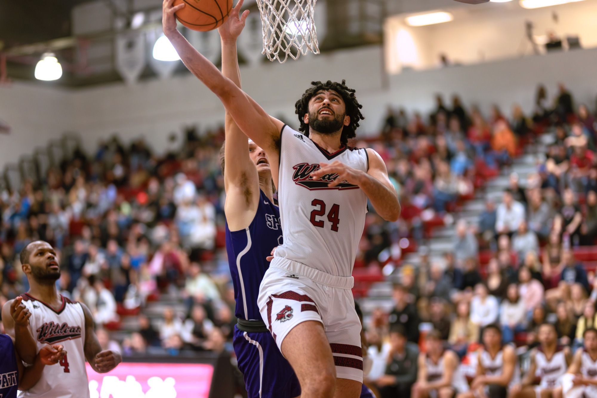Adam Afifi - 2023-24 - Men's Basketball - Chico State Athletics