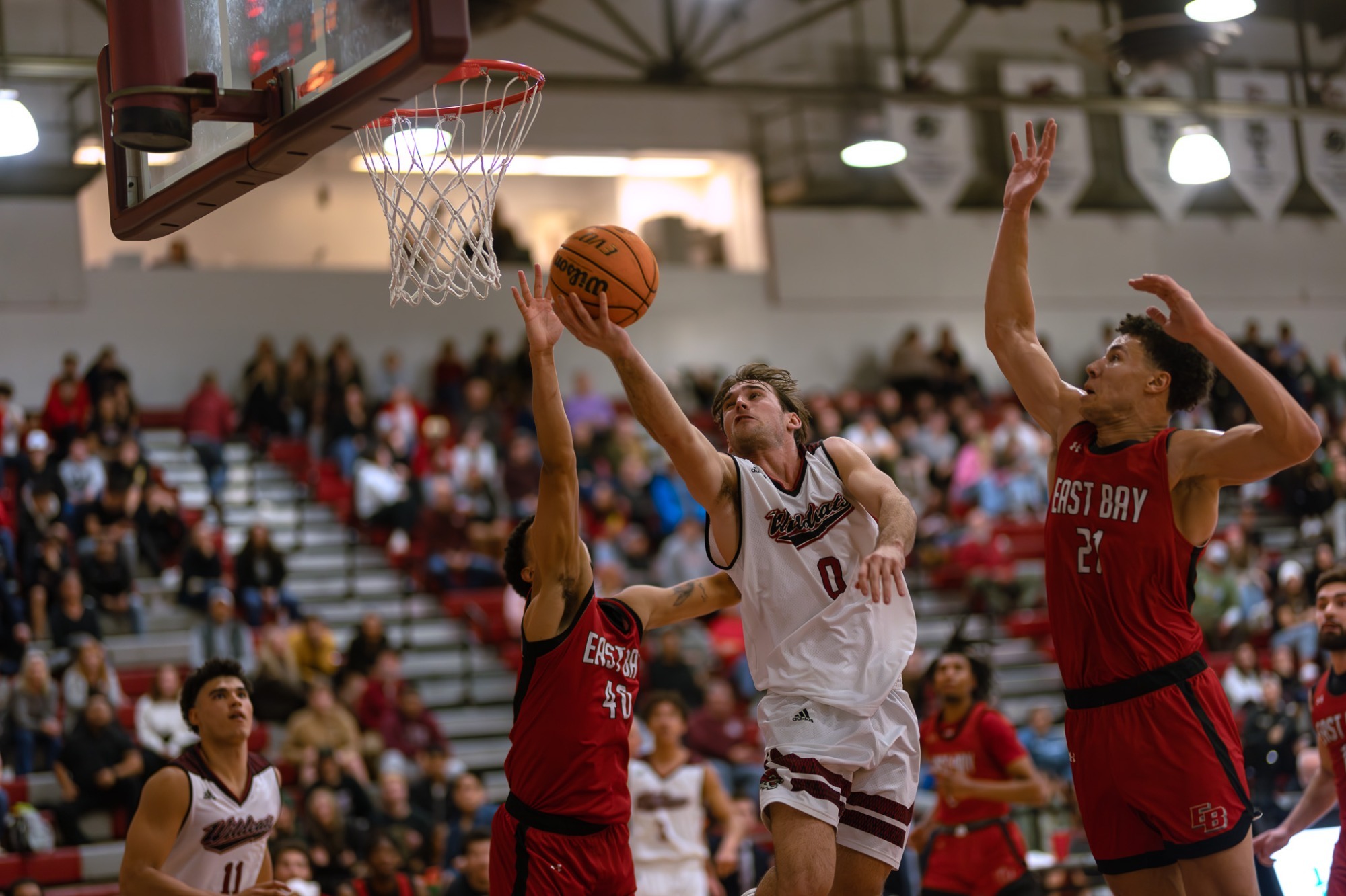 Evan Oliver - 2023-24 - Men's Basketball - Chico State Athletics
