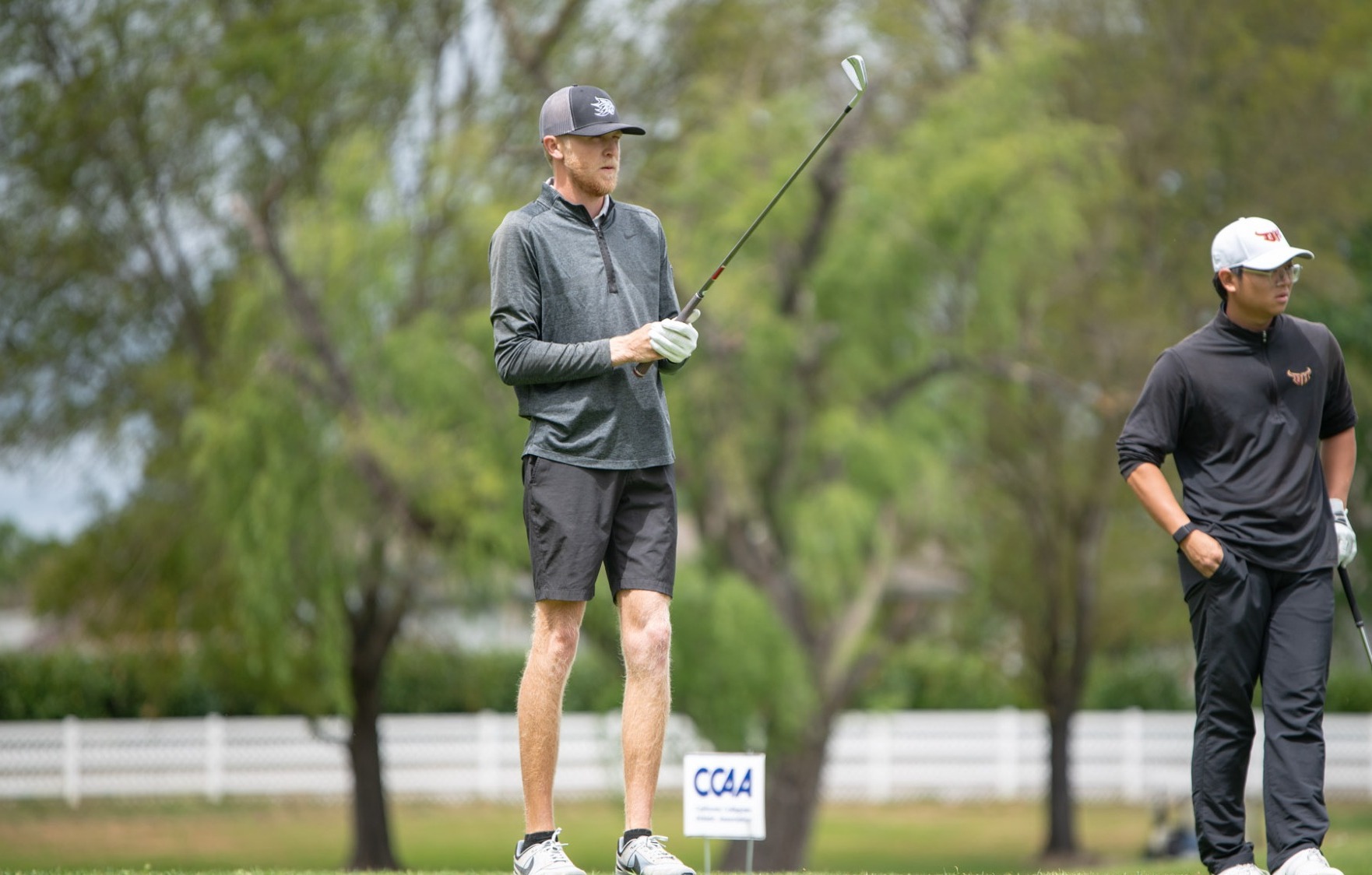 Tyler Ashman - 2023-24 - Men's Golf - Chico State Athletics