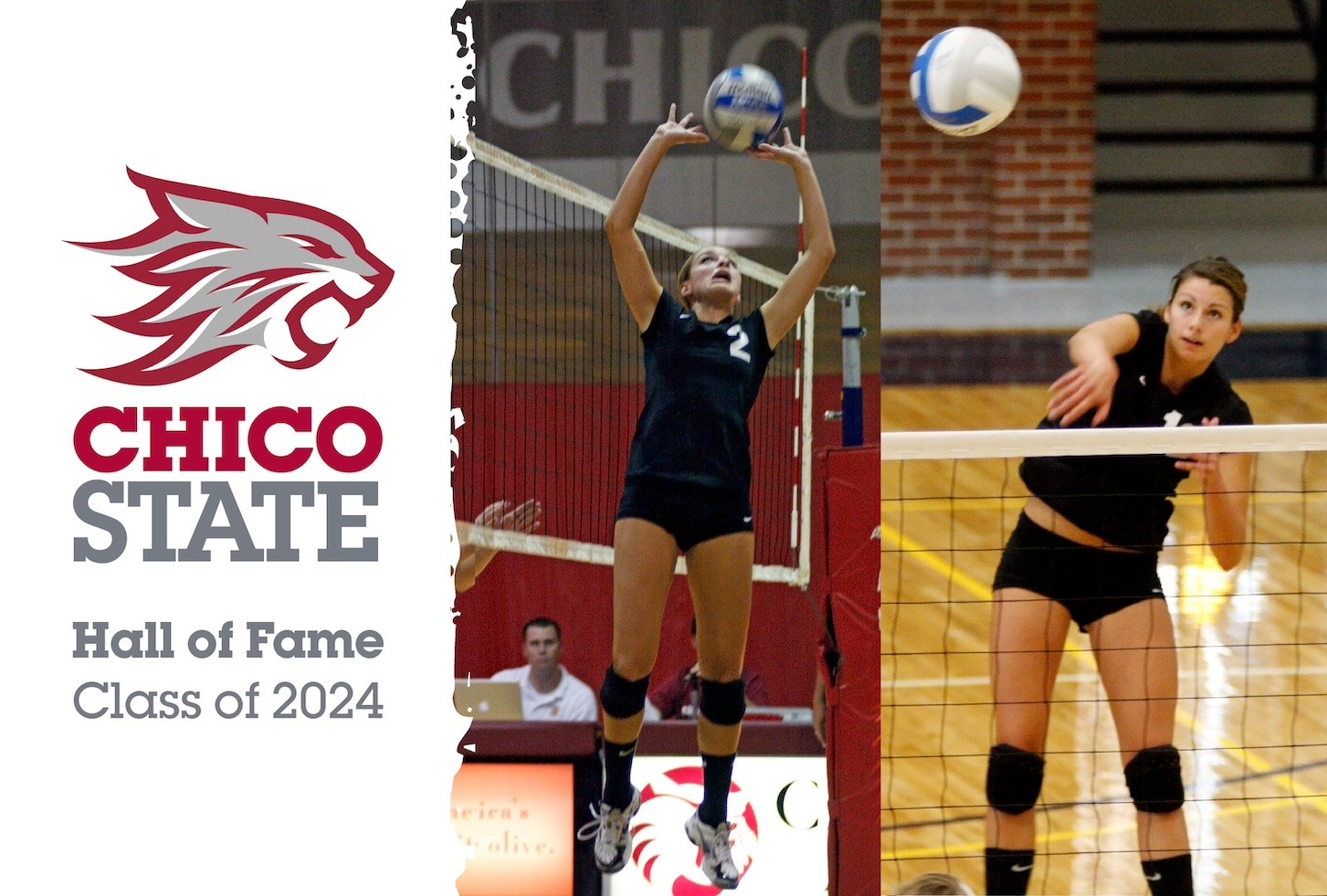 Volleyball back in fall sports spotlight as 2022 schedule released ...