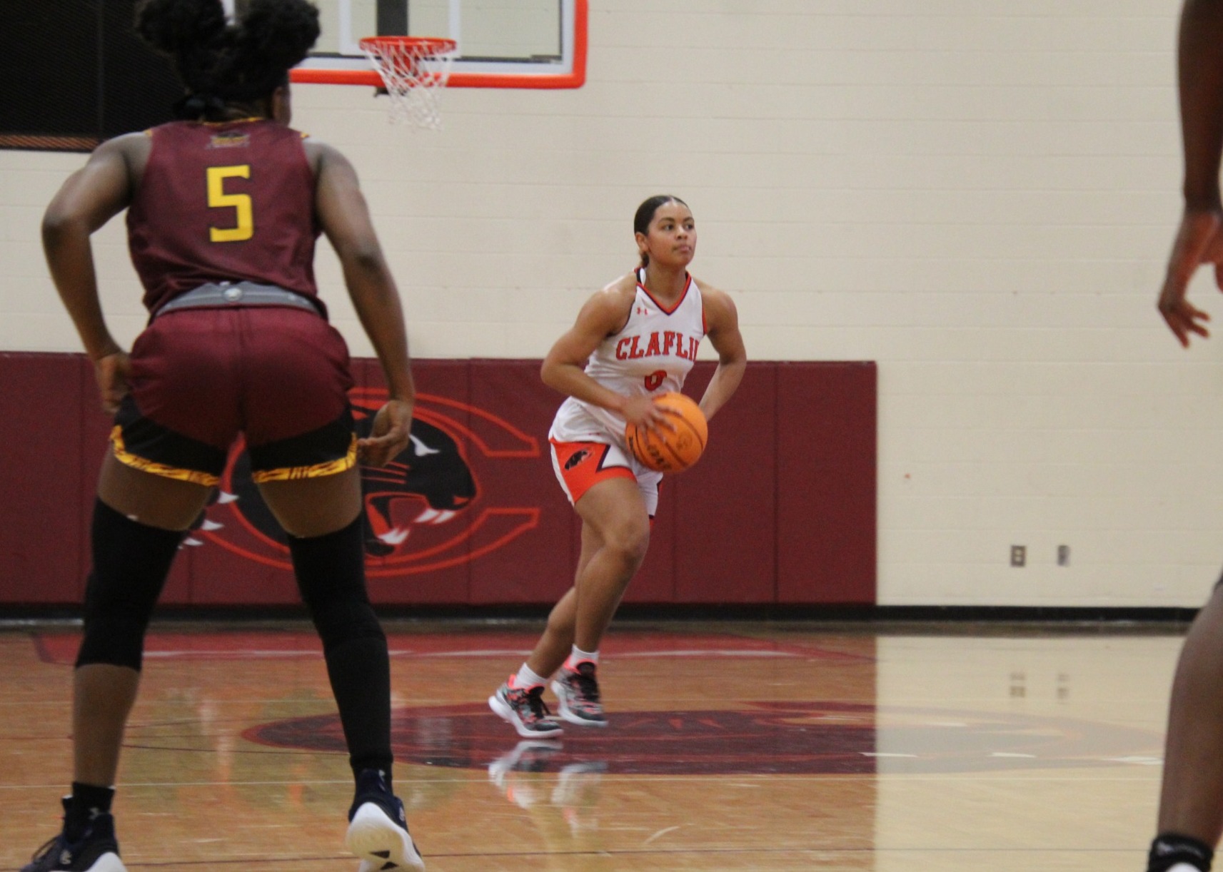 Lady Panthers Take a Dramatic 80-76 Win Over Shaw in CIAA Opener ...