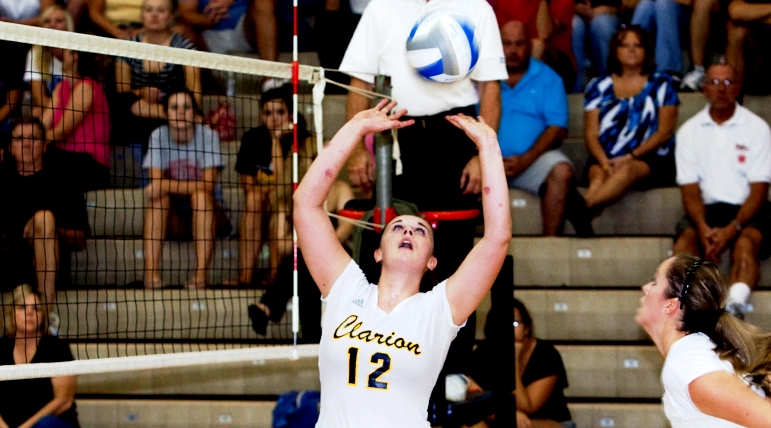 Amanda Gough - Volleyball - Clarion Athletics