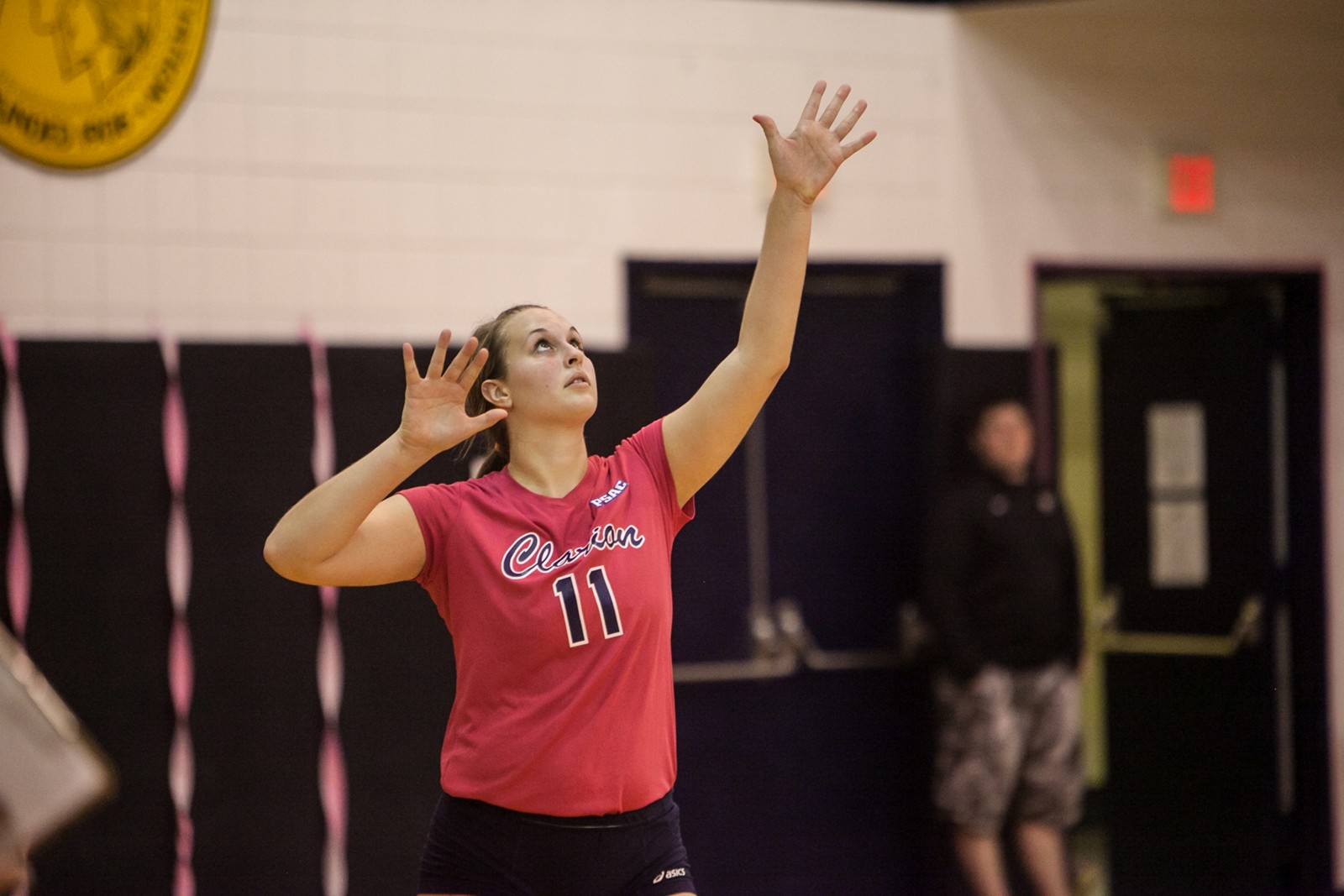 Morgan Seybold - Volleyball - Clarion Athletics