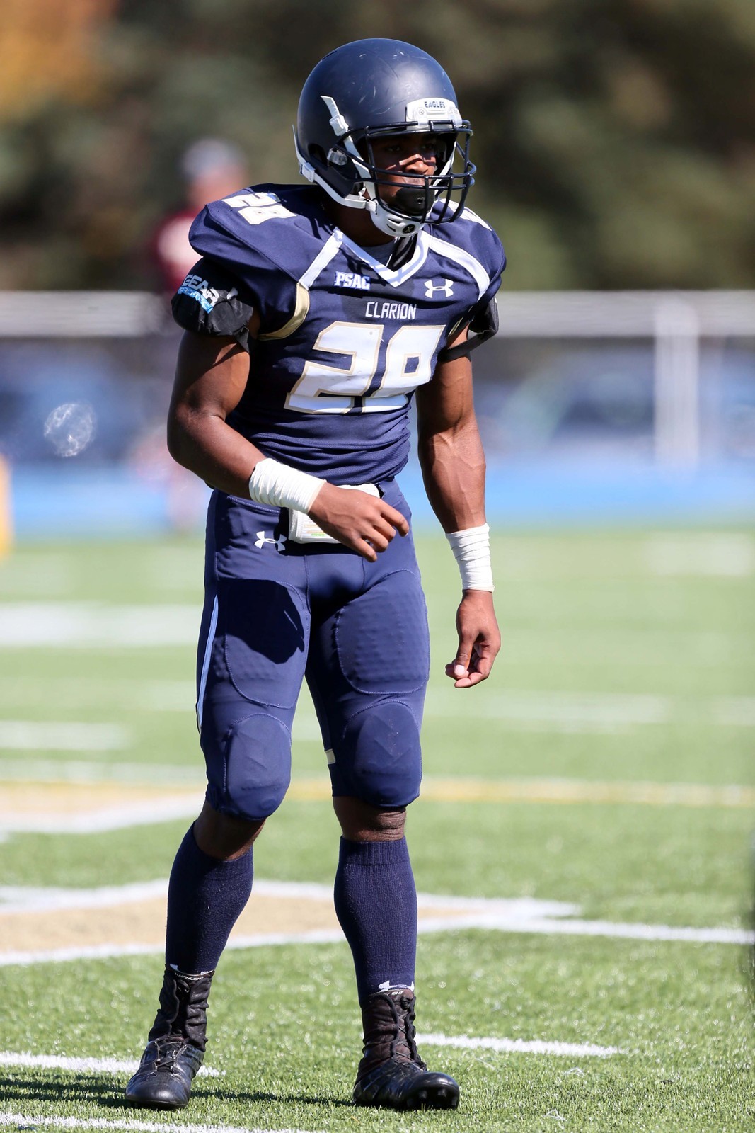 Travis Day - Football - Clarion Athletics