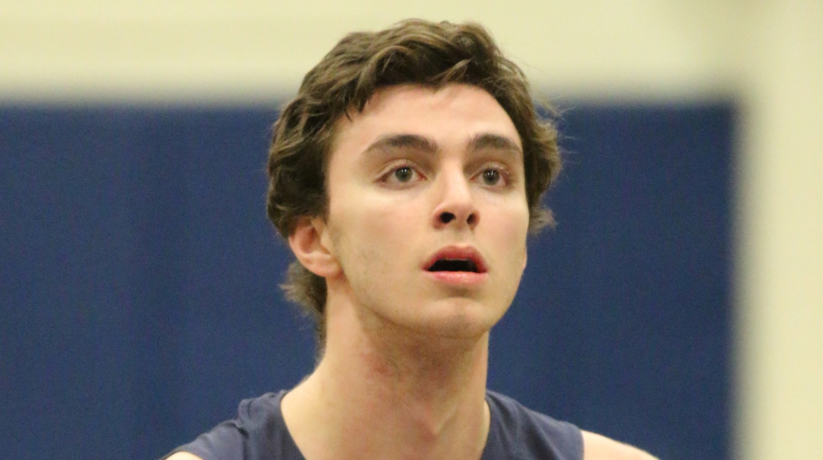 Matt D'Amico - Basketball (Men's) - Clarion Athletics