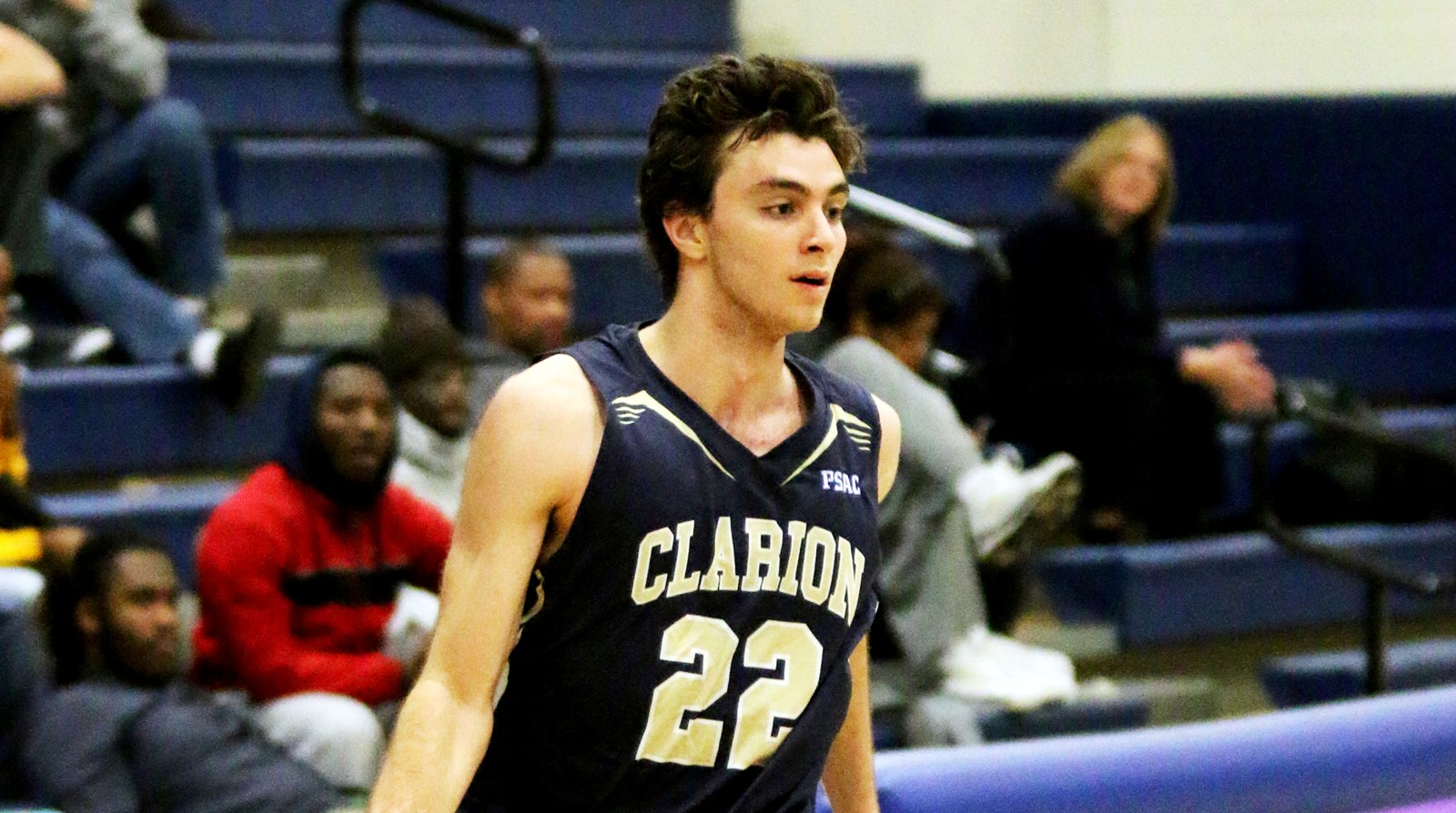 Matt D'Amico - Basketball (Men's) - Clarion Athletics