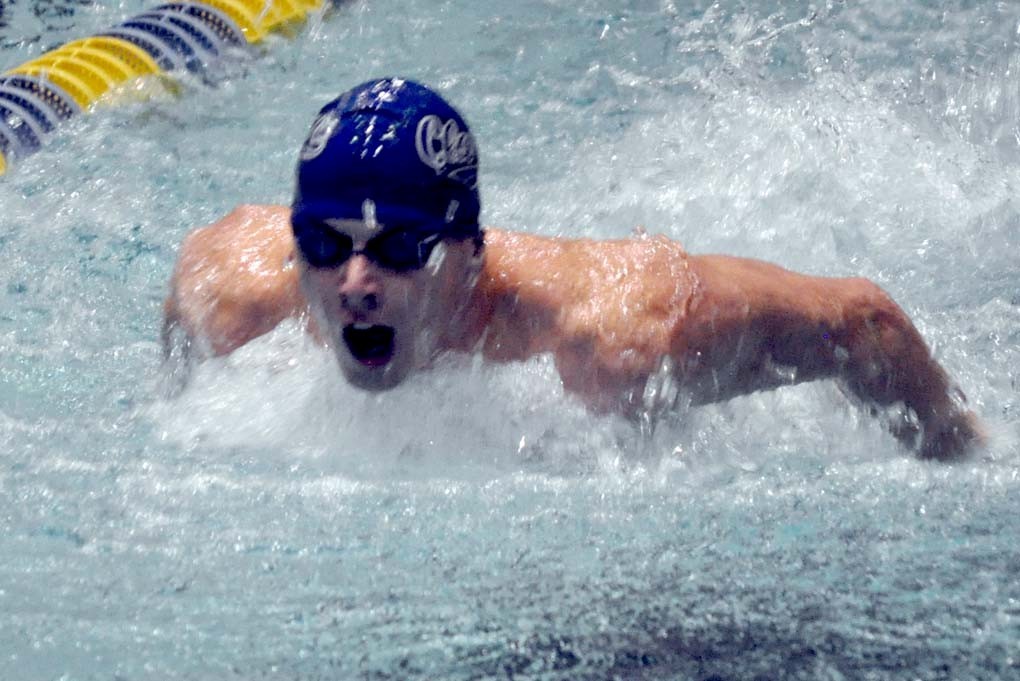 James Robichaud - Swimming & Diving (Men's) - Clarion Athletics
