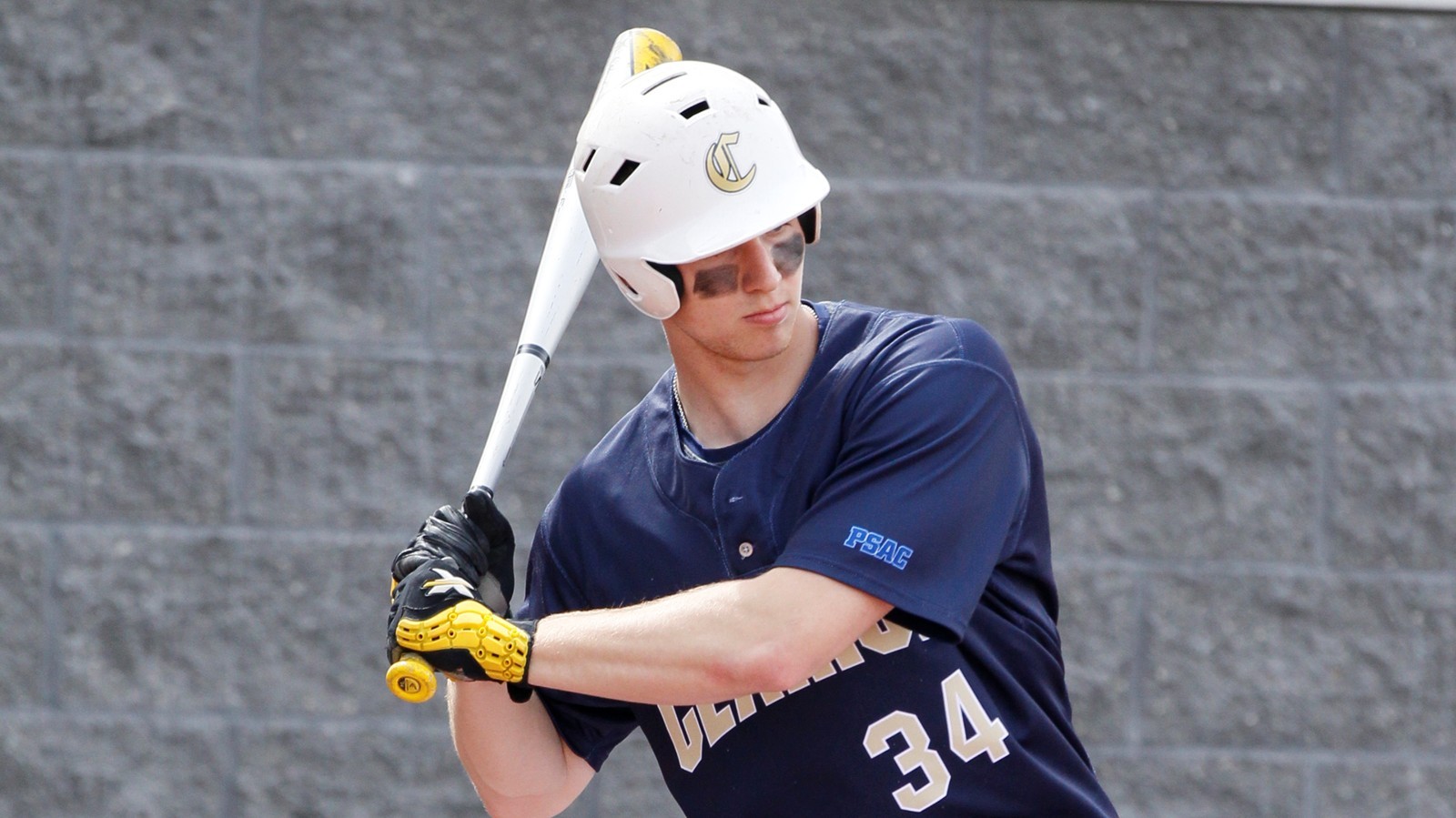 Tyler Falk - Baseball - Clarion Athletics