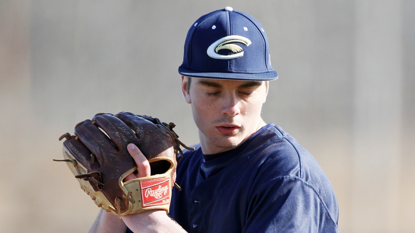 Brendan Fitzgerald - Baseball - Clarion Athletics