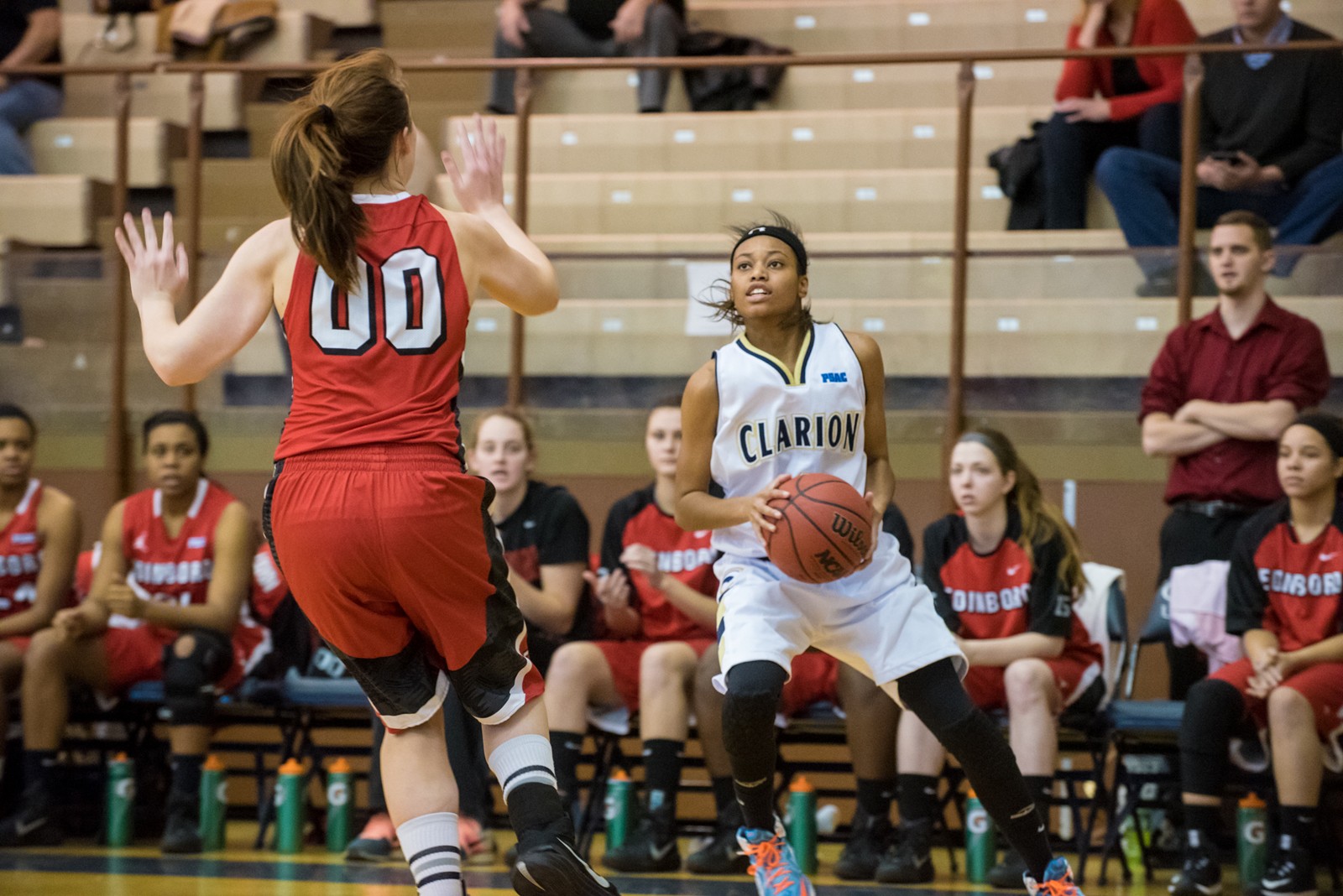 Ashley DeLeonibus - Basketball (Women's) - Clarion Athletics