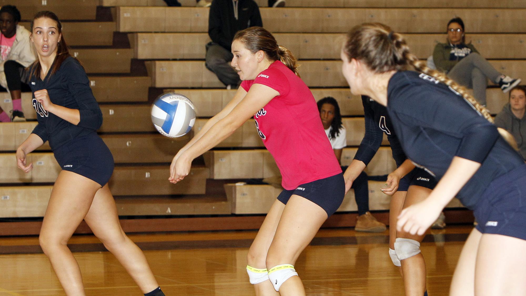 Catherine Ferragonio - Volleyball - Clarion Athletics
