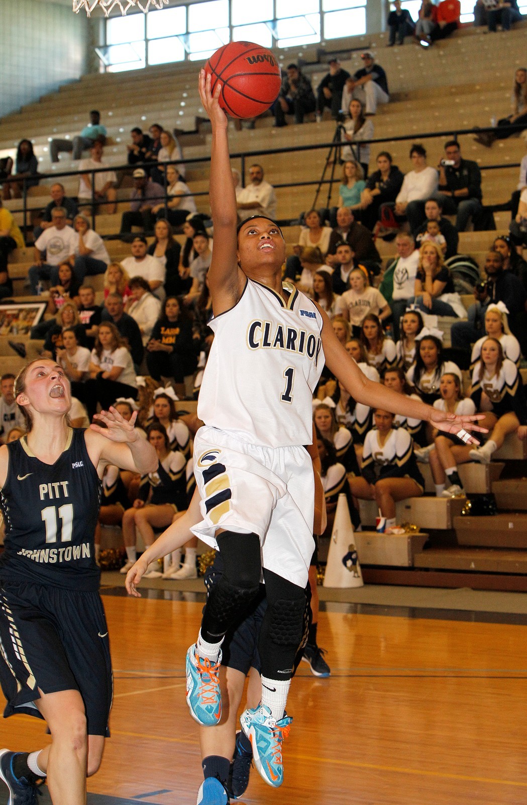 Tania Holmes - Basketball (Women's) - Clarion Athletics