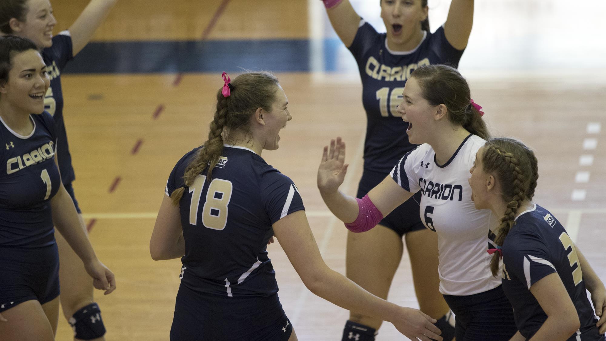Catherine Ferragonio - Volleyball - Clarion Athletics