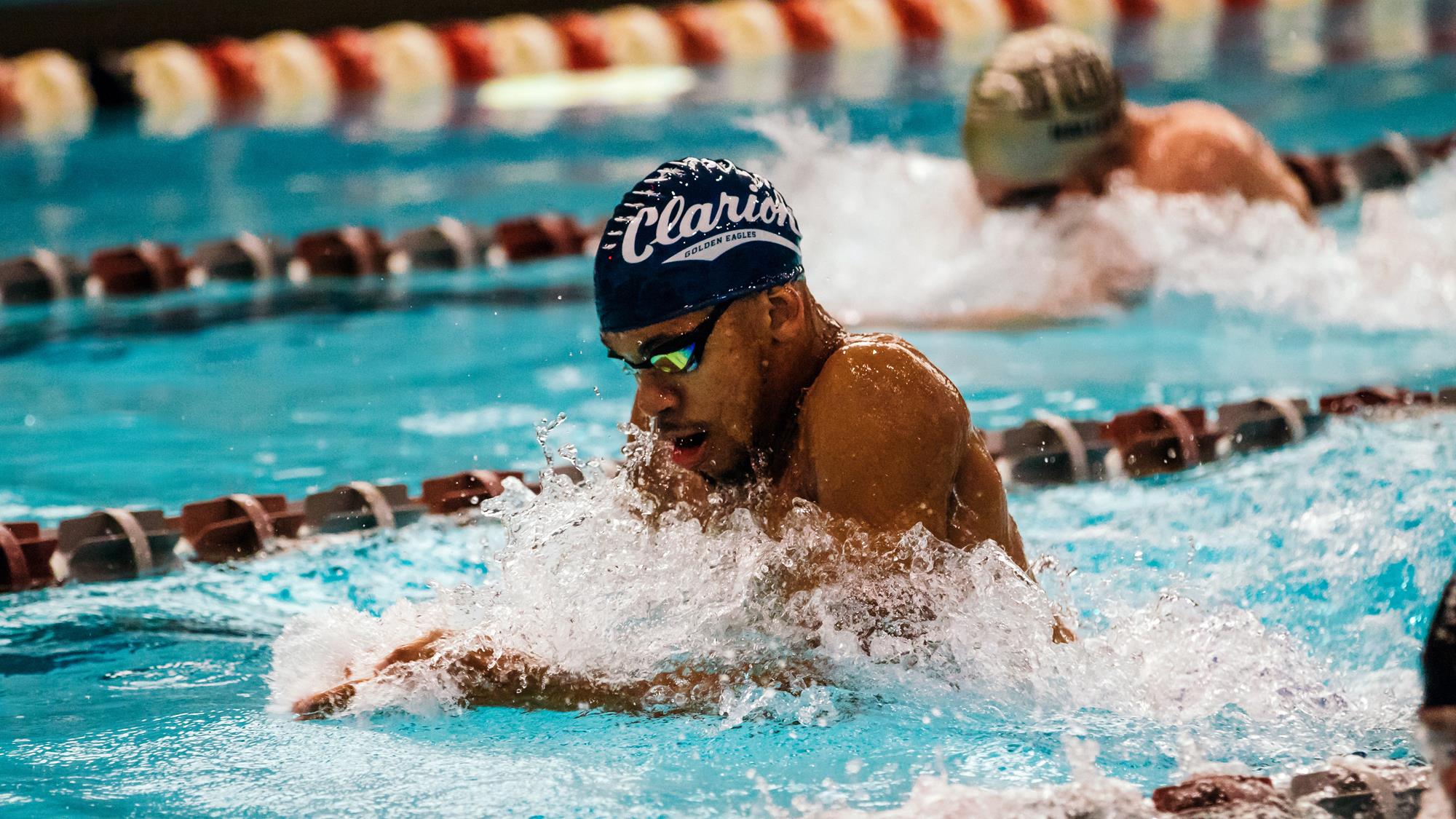 Men's Swimming & Diving Sinks Gators - Clarion Athletics