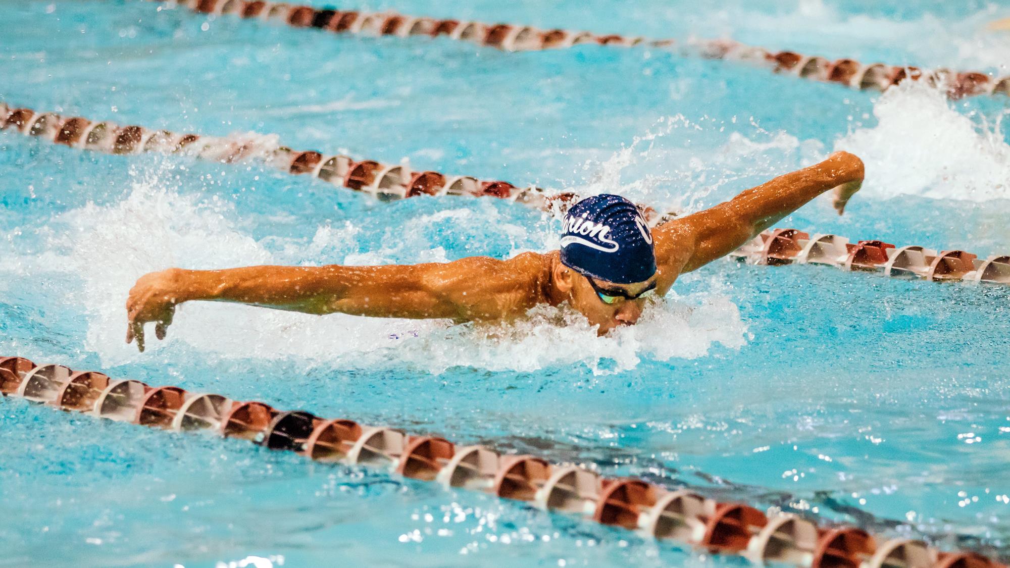 Men's Swimming and Diving Victorious at Allegheny - Clarion Athletics