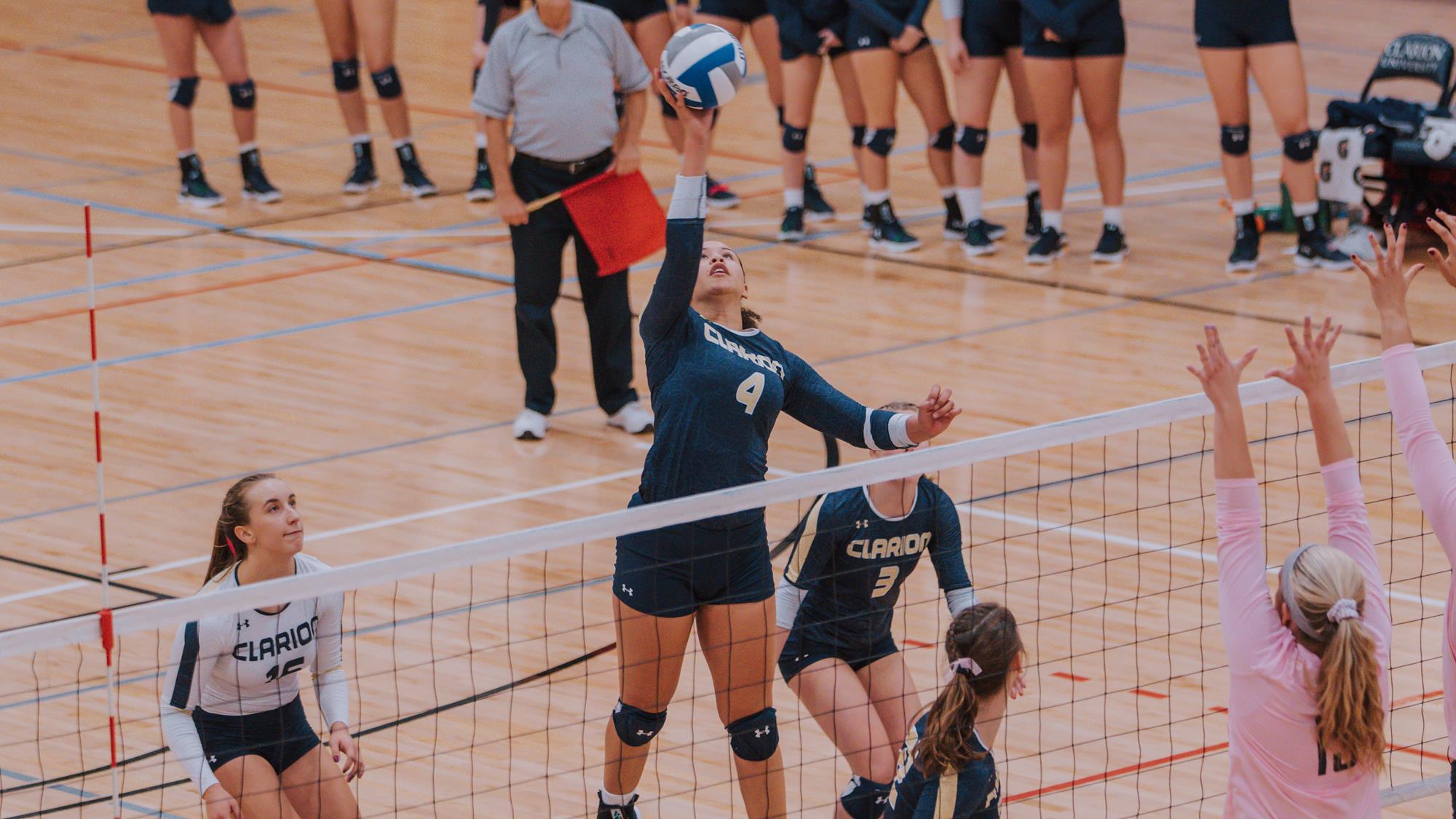 Marissa Robertson - Volleyball - Clarion Athletics