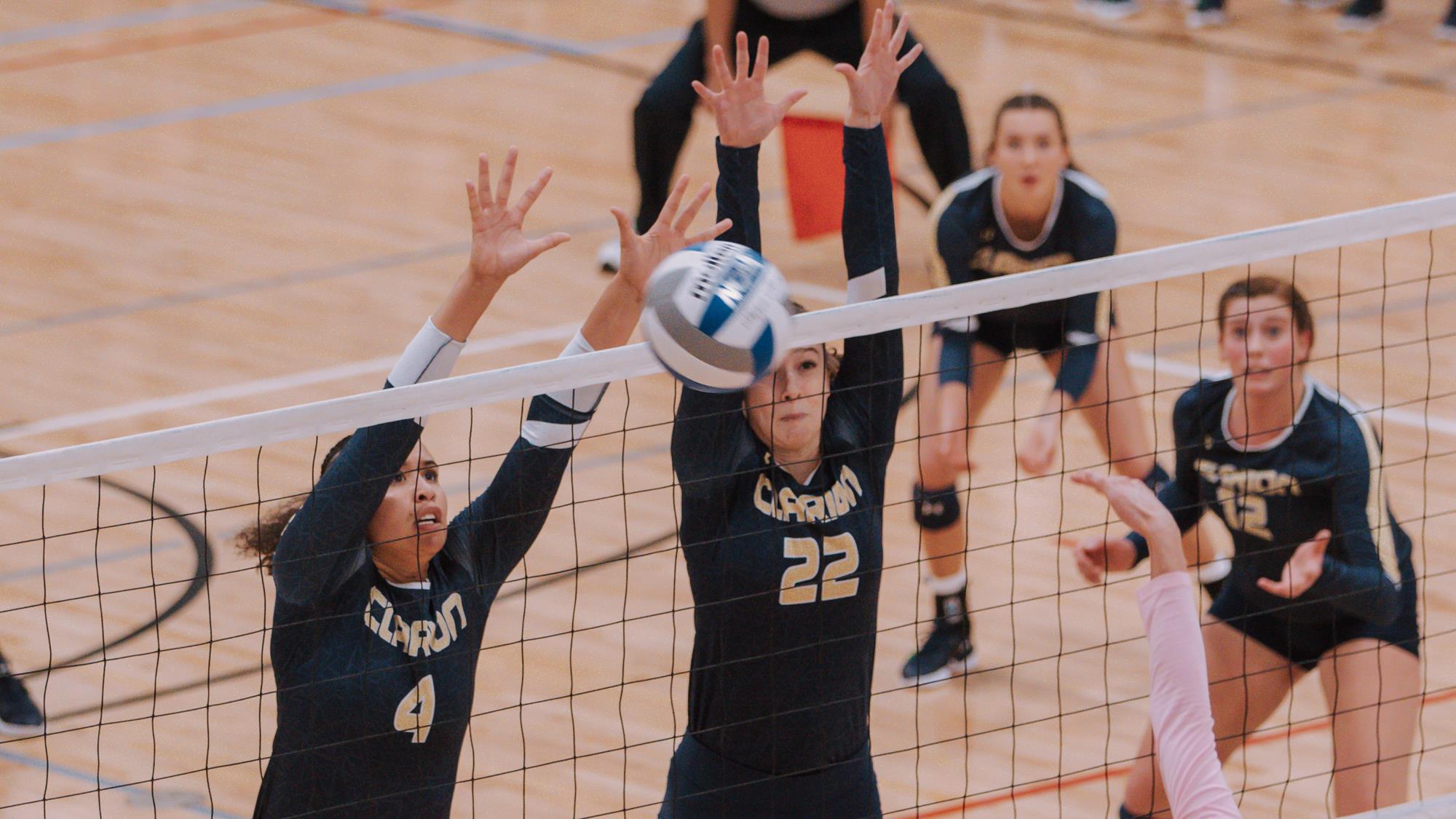 Marissa Robertson - Volleyball - Clarion Athletics