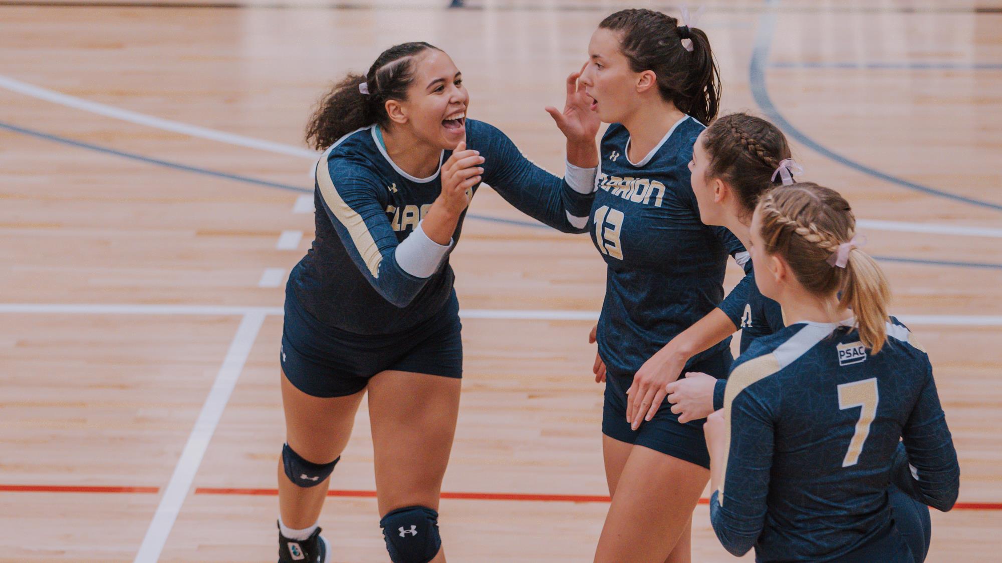 Marissa Robertson - Volleyball - Clarion Athletics