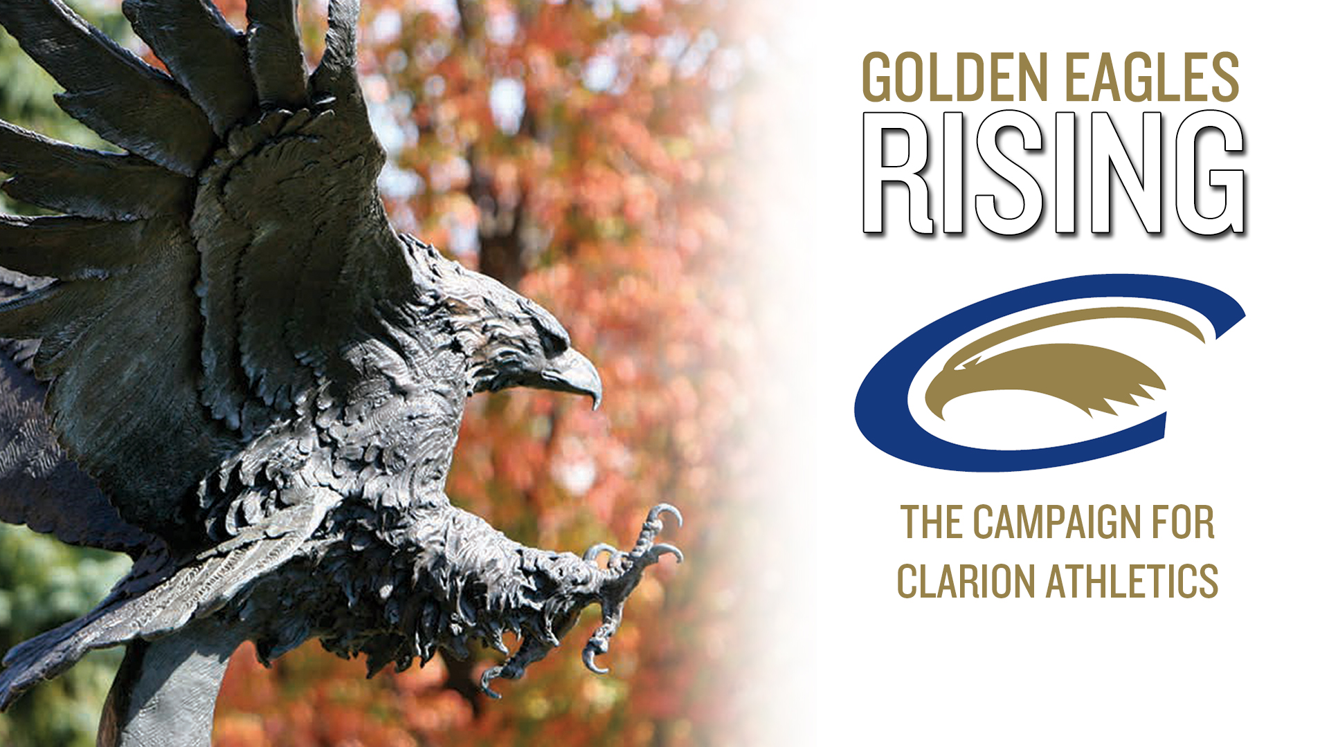 Clarion Announces Athletic Fundraising Campaign - Clarion Athletics