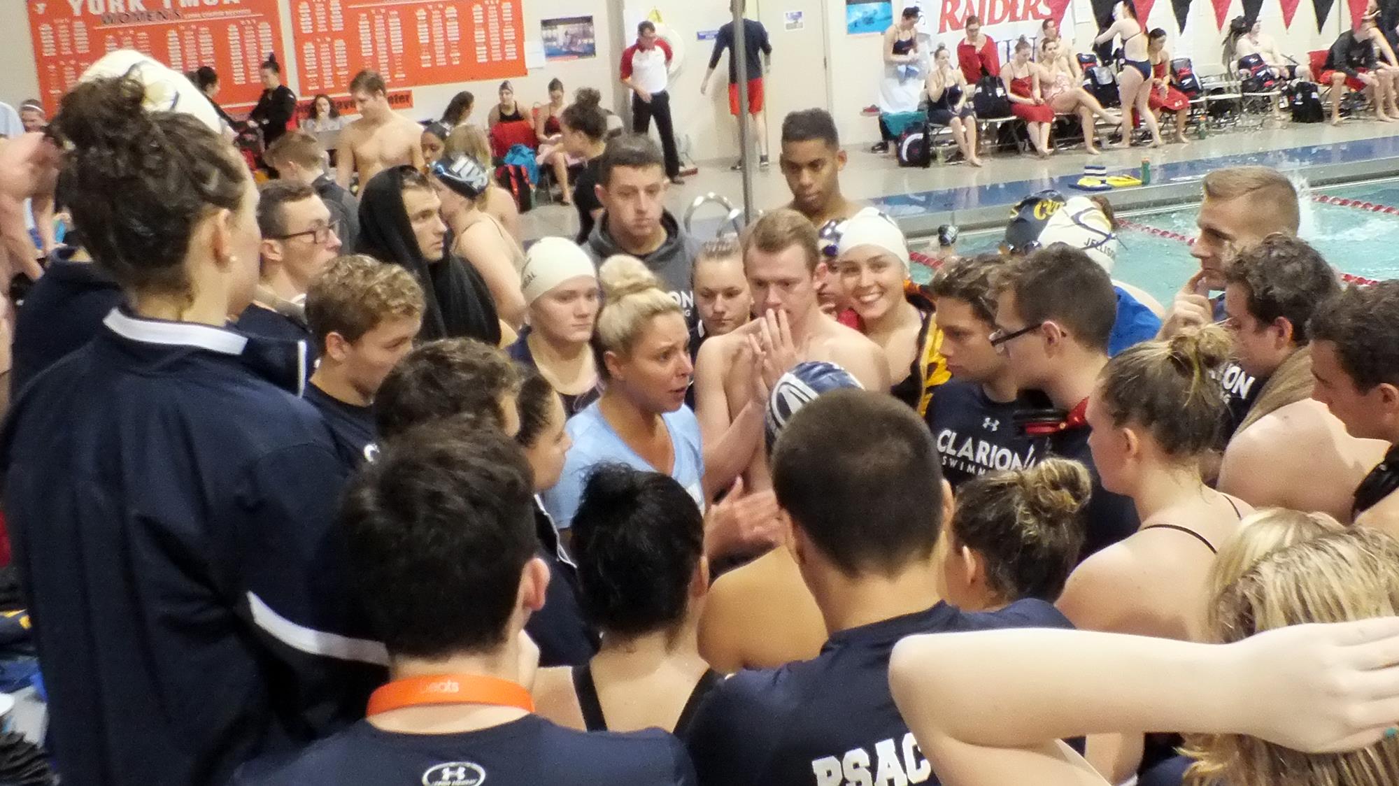 Men's Swimming and Diving Opens Season at Grove City - Clarion Athletics