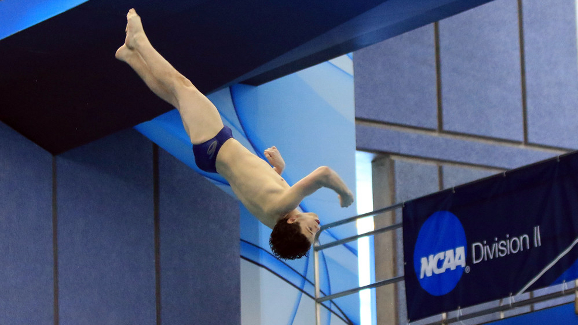 Cary Johns - Swimming & Diving (Men's) - Clarion Athletics