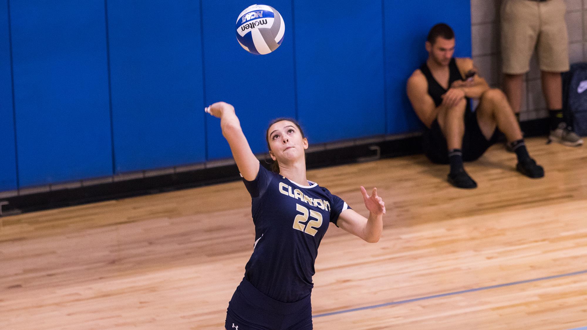 Lauren Aichinger - Volleyball - Clarion Athletics