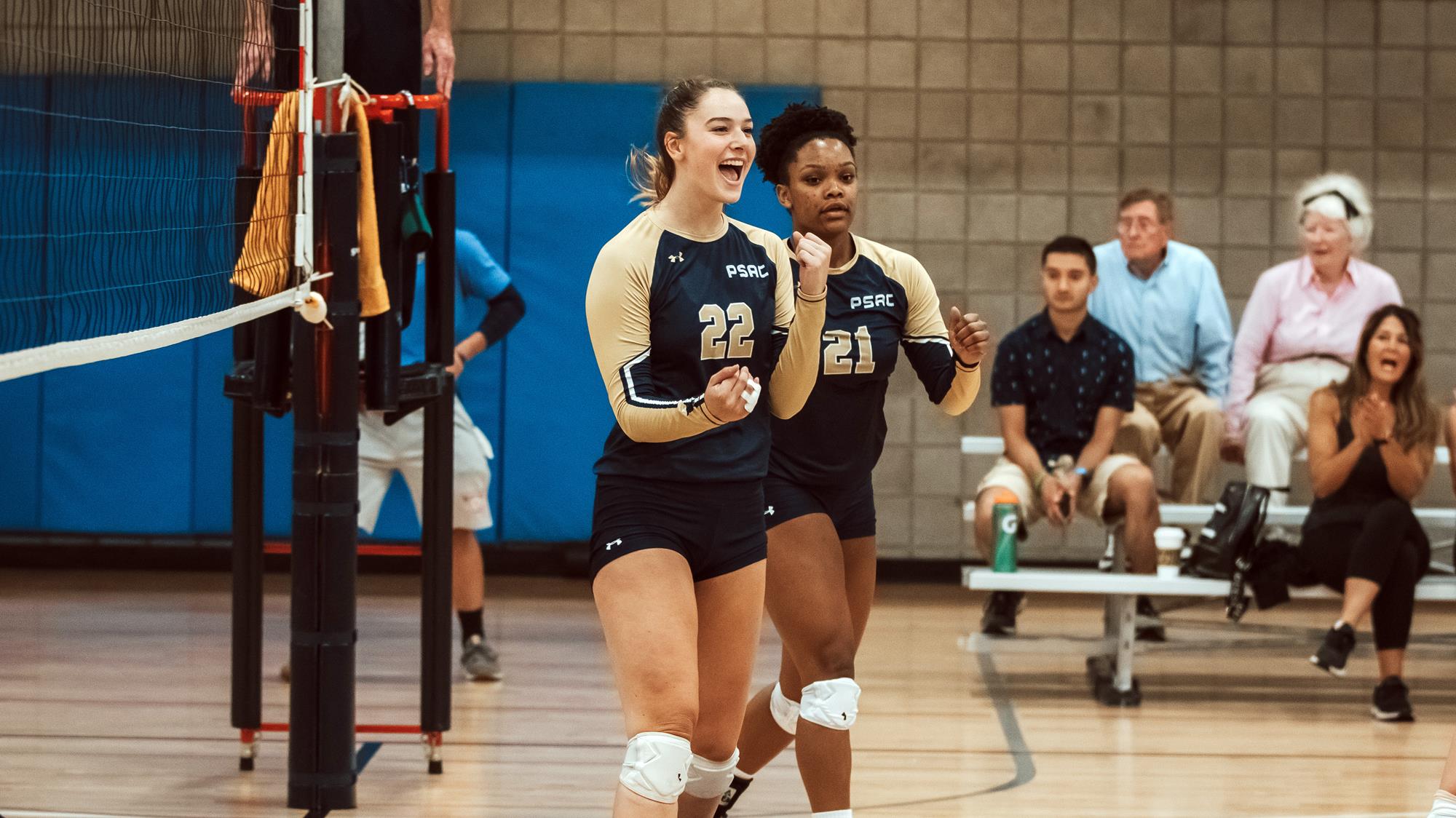 Lauren Aichinger - Volleyball - Clarion Athletics