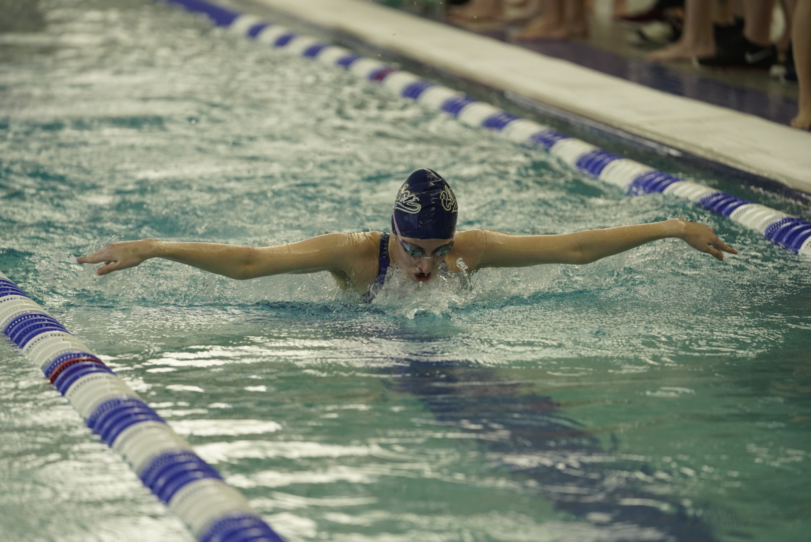 Women's Swimming and Diving Dominates Against IUP - Clarion Athletics