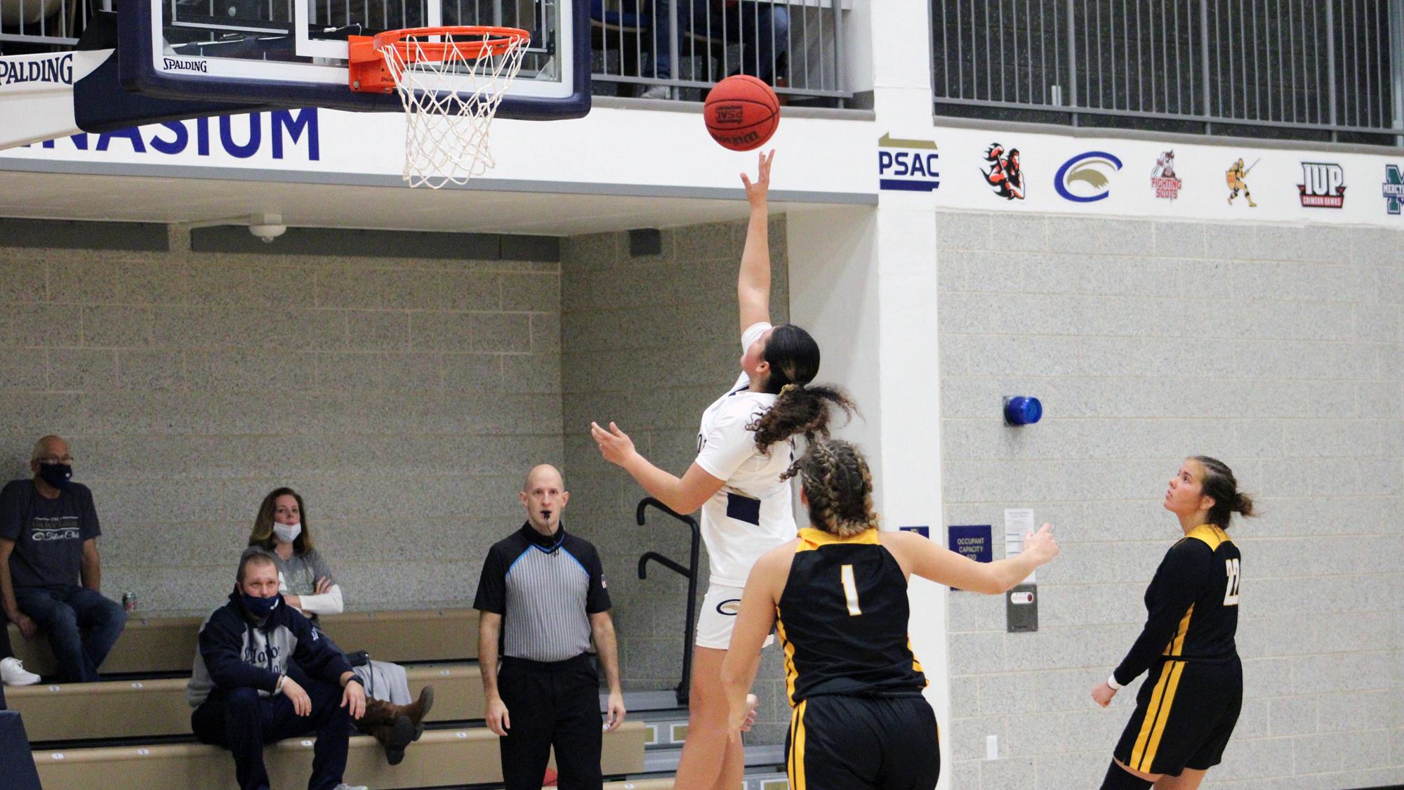 Sierra Bermudez - Basketball (Women's) - Clarion Athletics