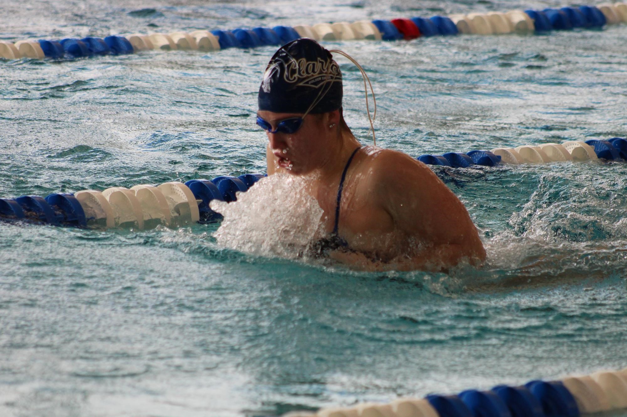 Women's Swimming and Diving Falls to Gannon at Home - Clarion Athletics