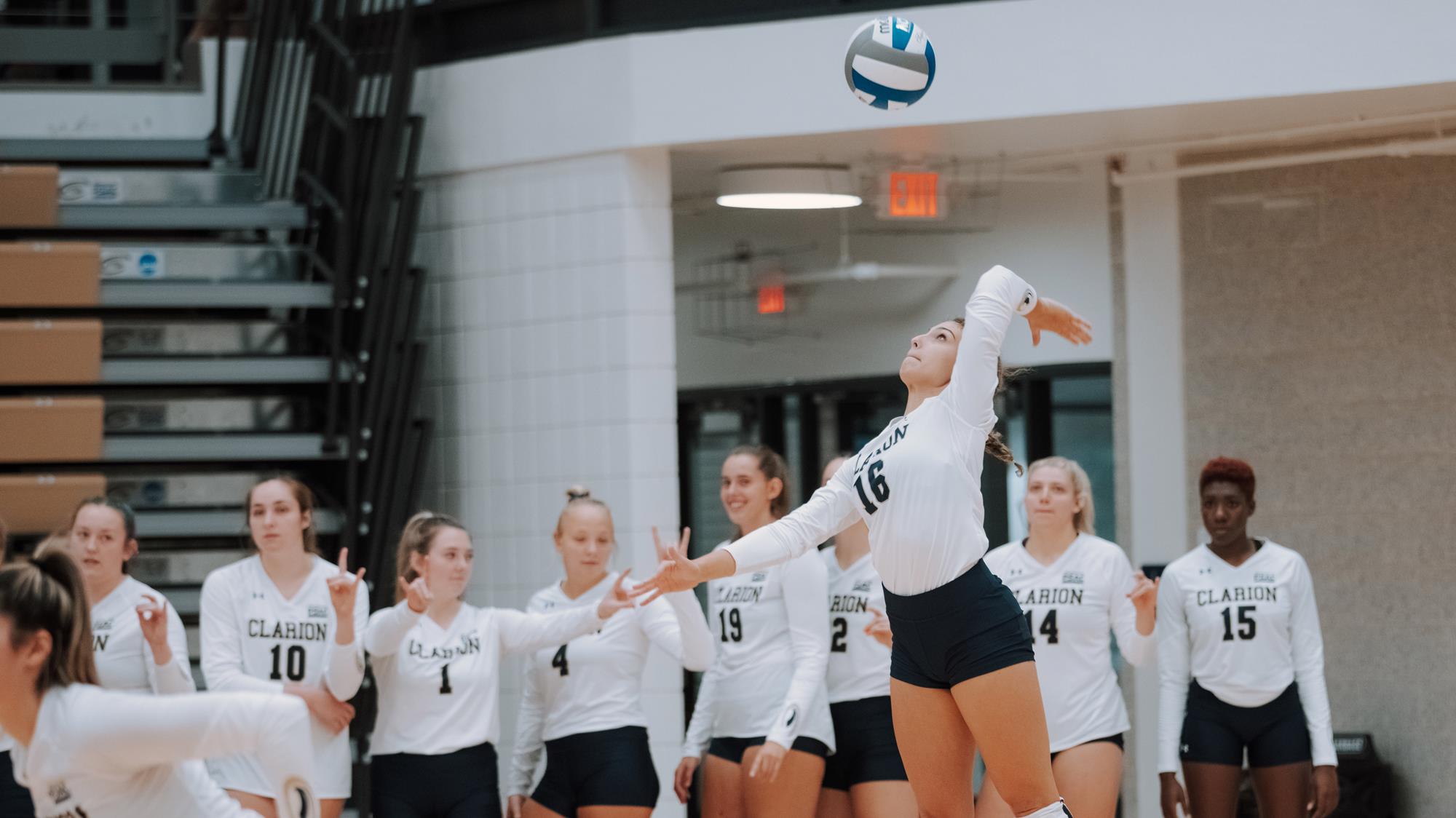 Addison Conti - Volleyball - Clarion Athletics