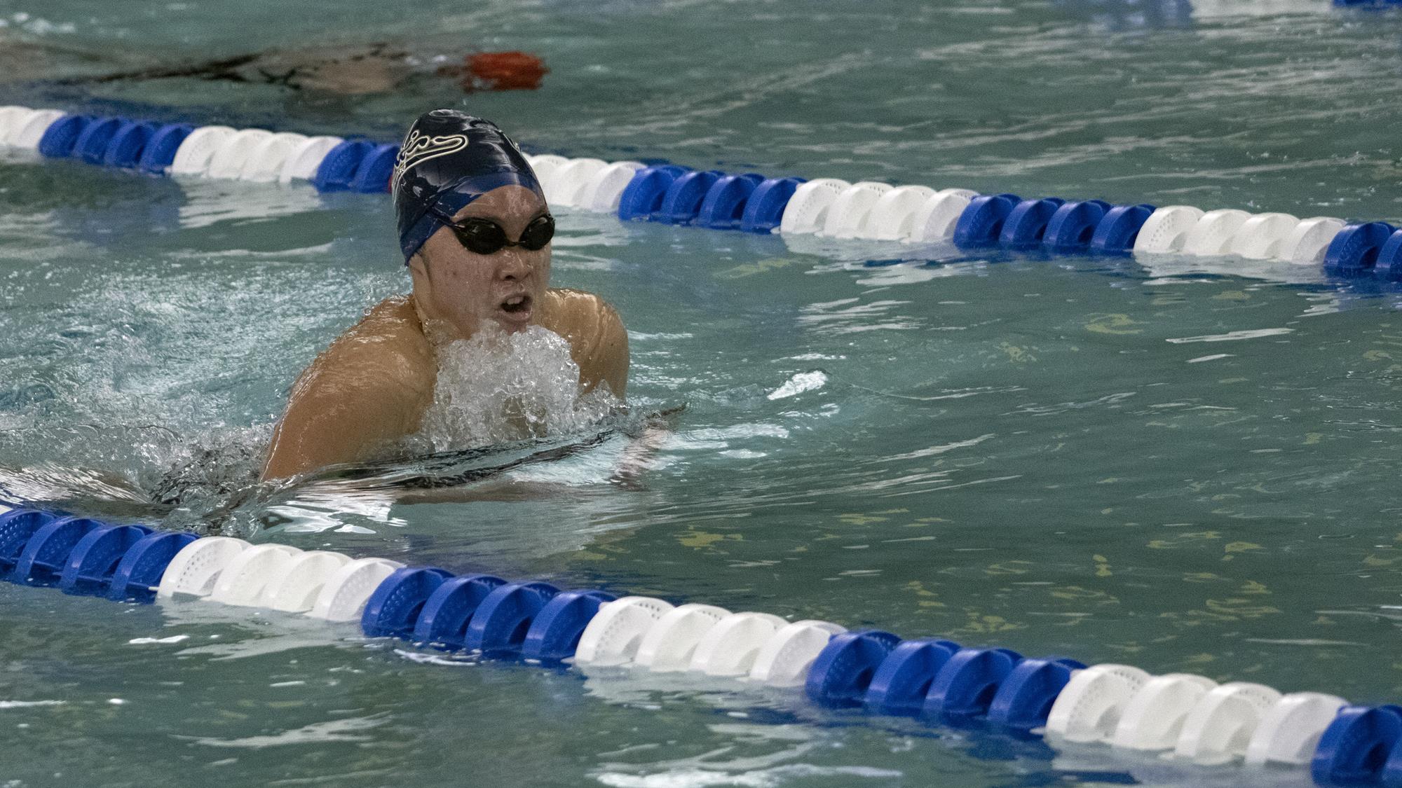 Women's Swimming & Diving Defeats Edinboro in Dual Finale - Clarion ...