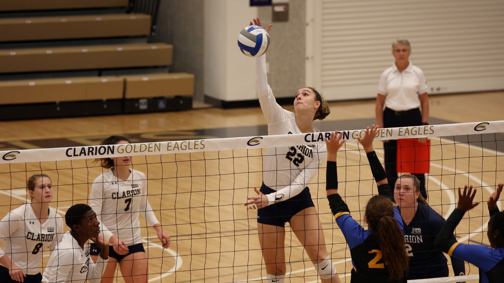 Lauren Aichinger - Volleyball - Clarion Athletics