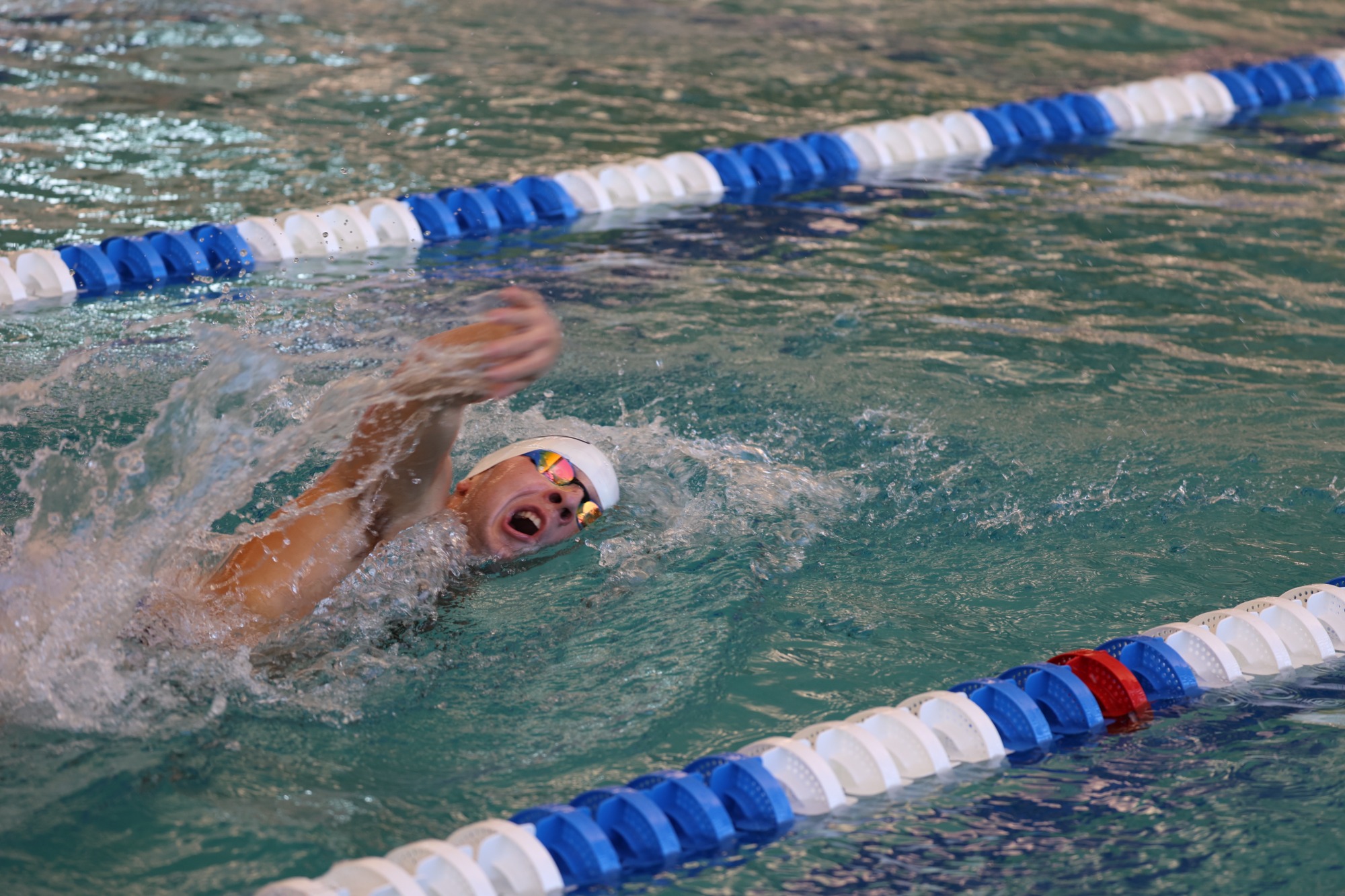 Trent Napholz - Swimming & Diving (Men's) - Clarion Athletics